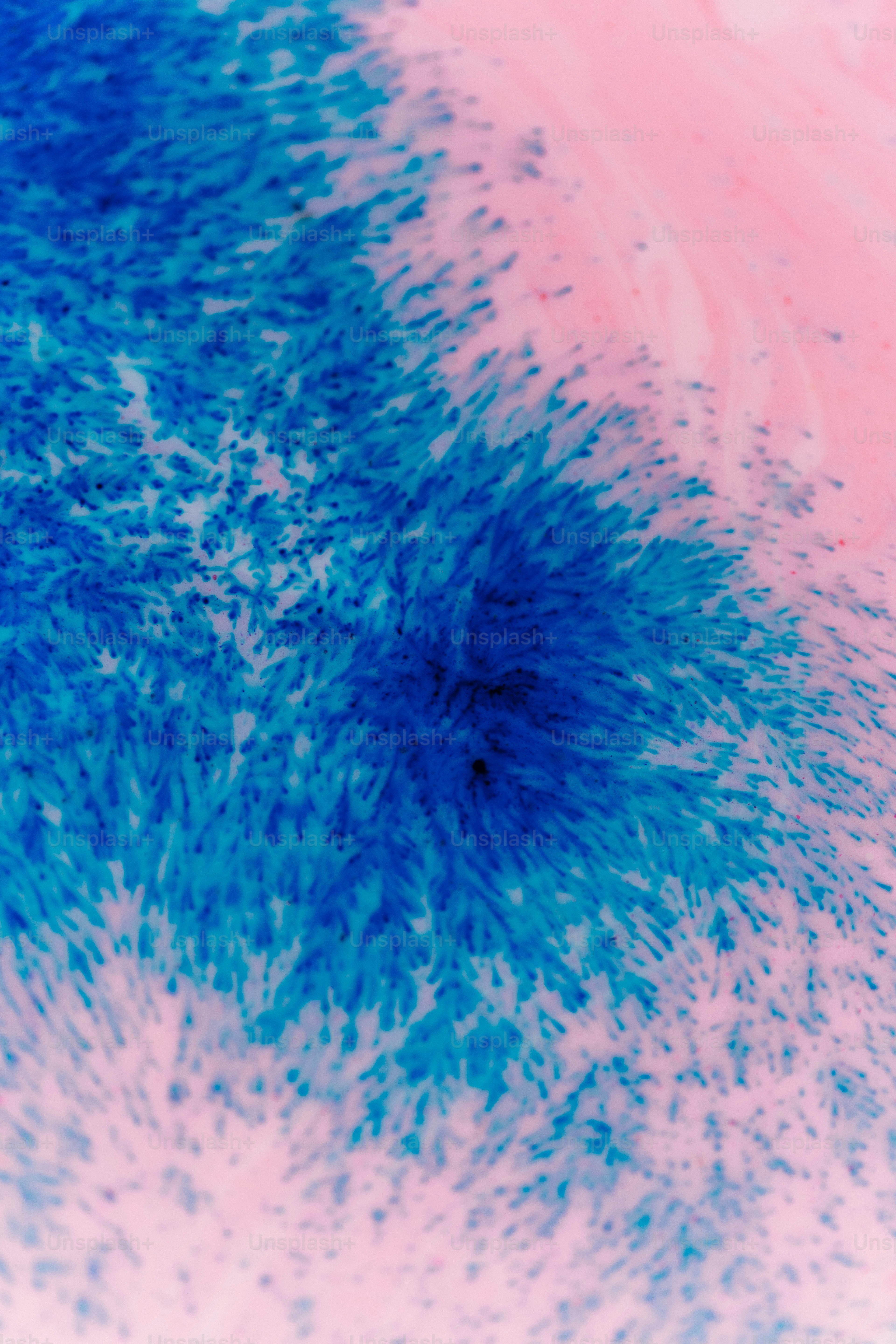 Microscopic Pictures | Download Free Images on Unsplash