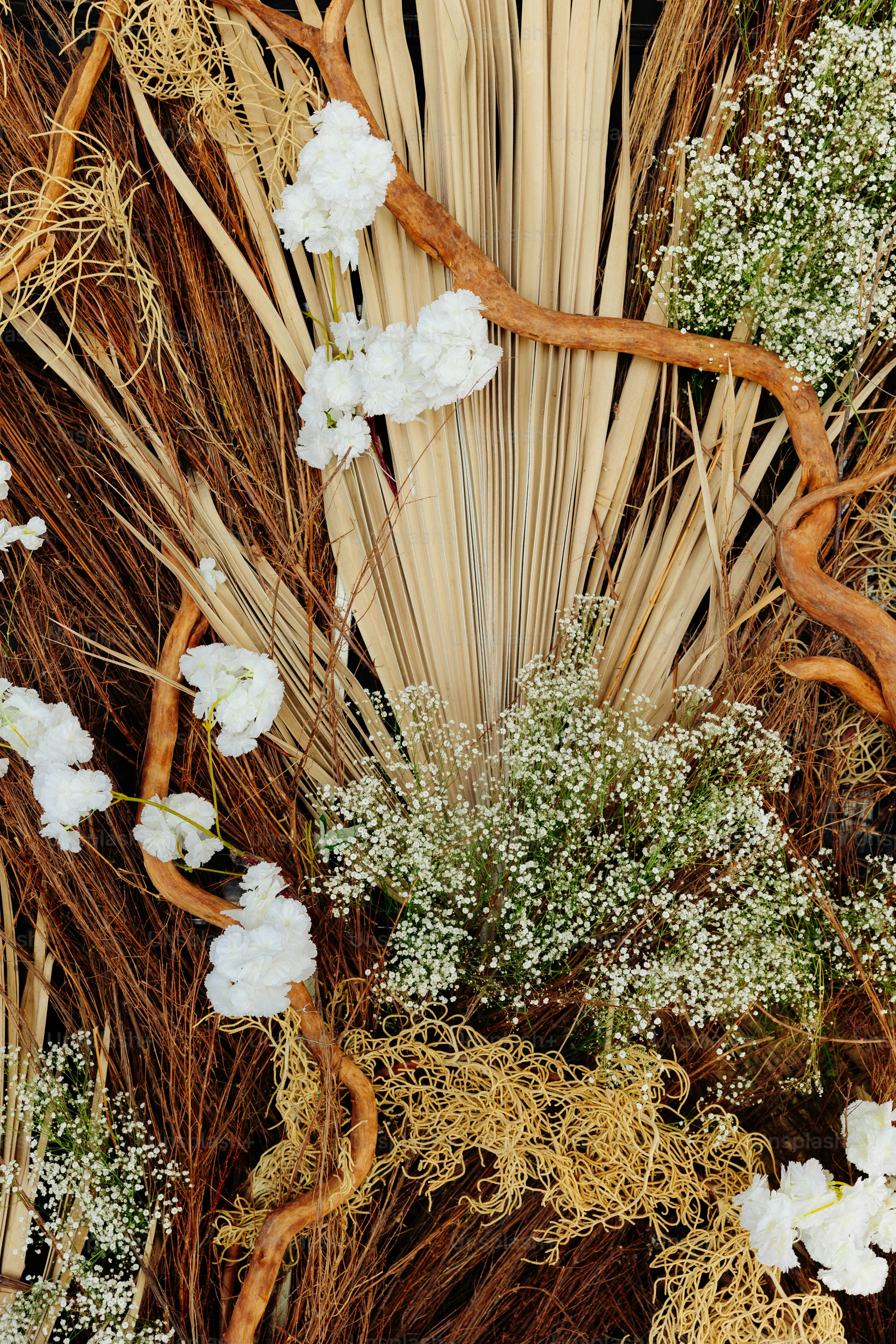Dry Flowers Pictures | Download Free Images on Unsplash