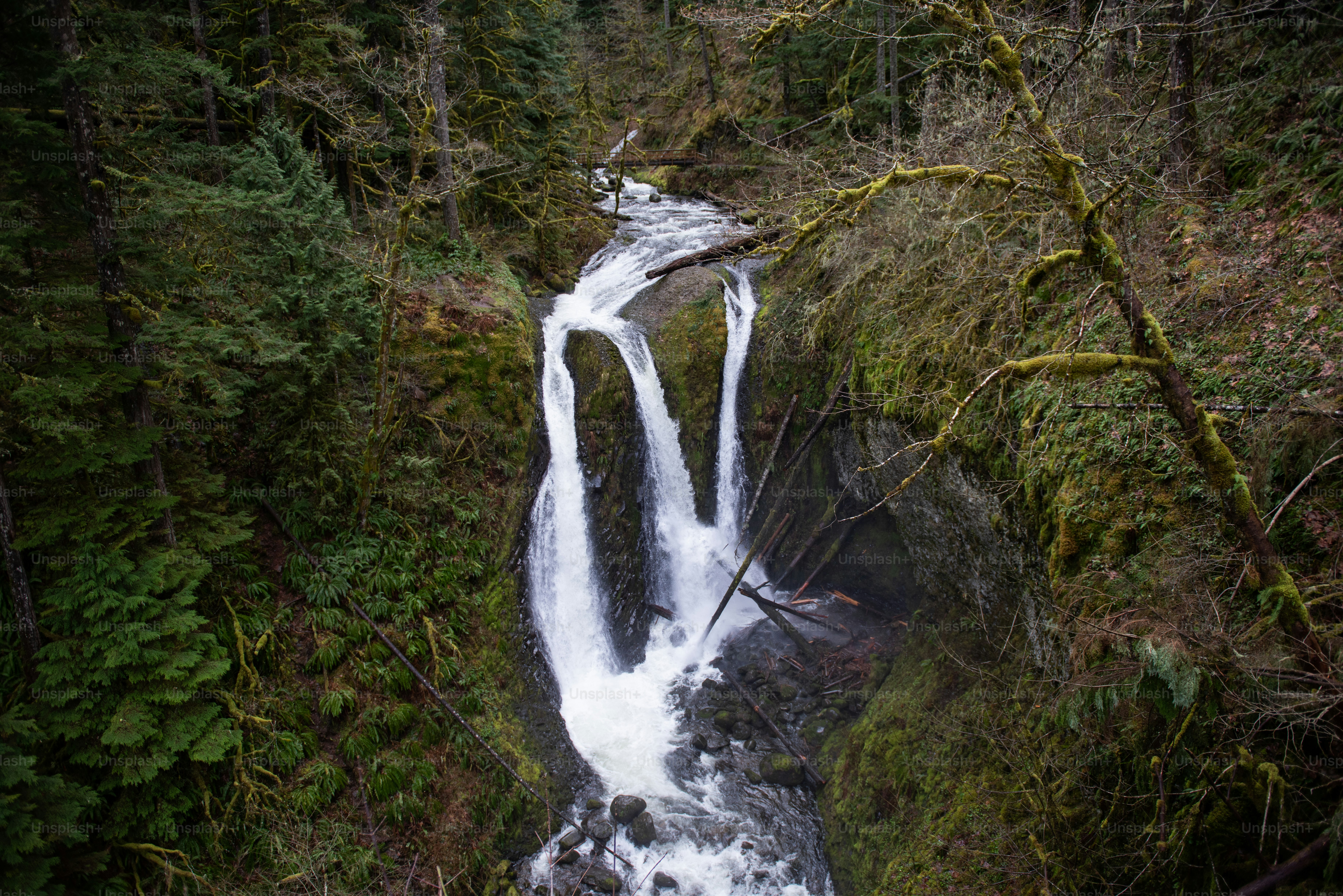 A waterfall in a forest photo – Water Image on Unsplash