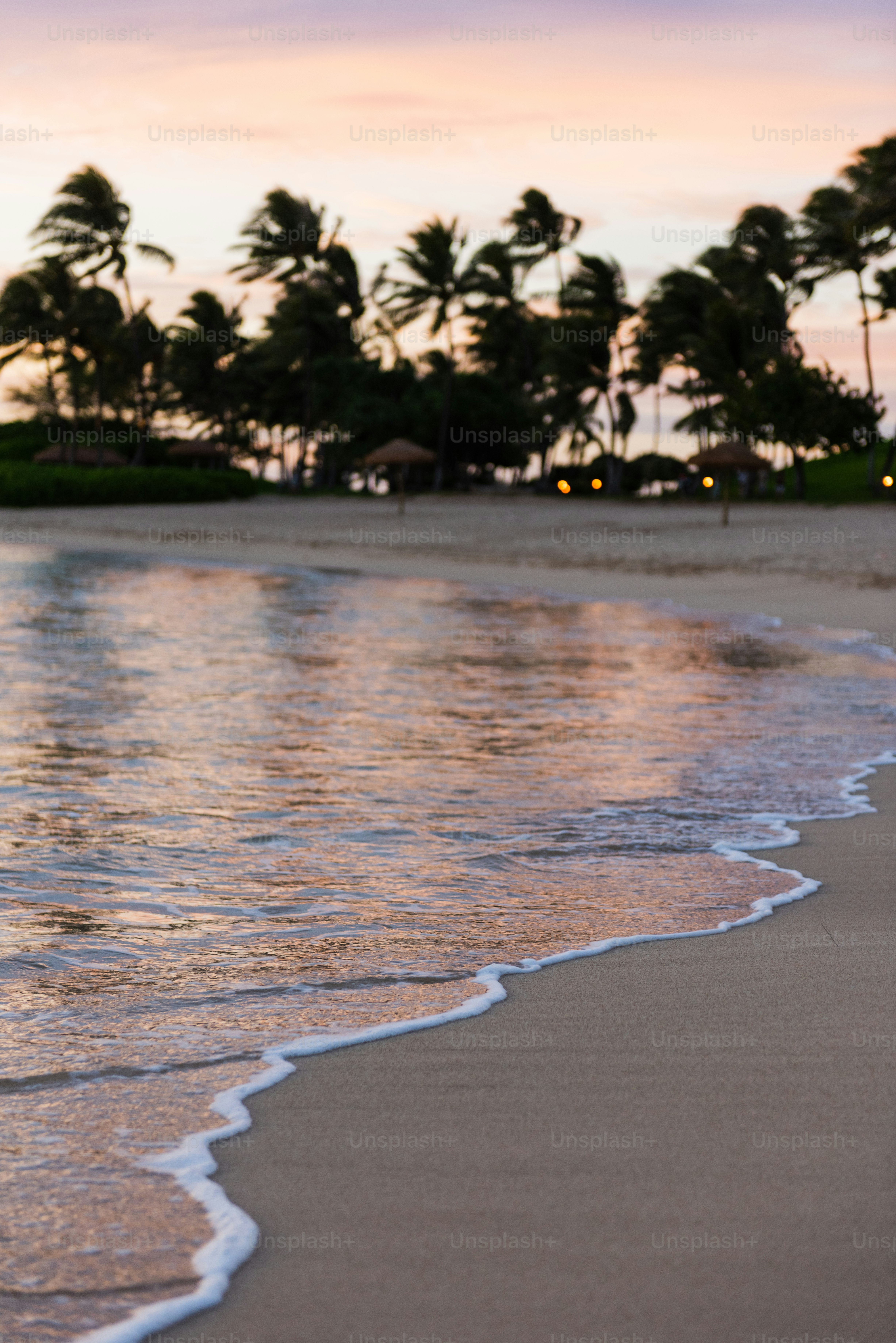 999+ Imágenes de la playa de palmeras | Descargar imágenes gratis en ...