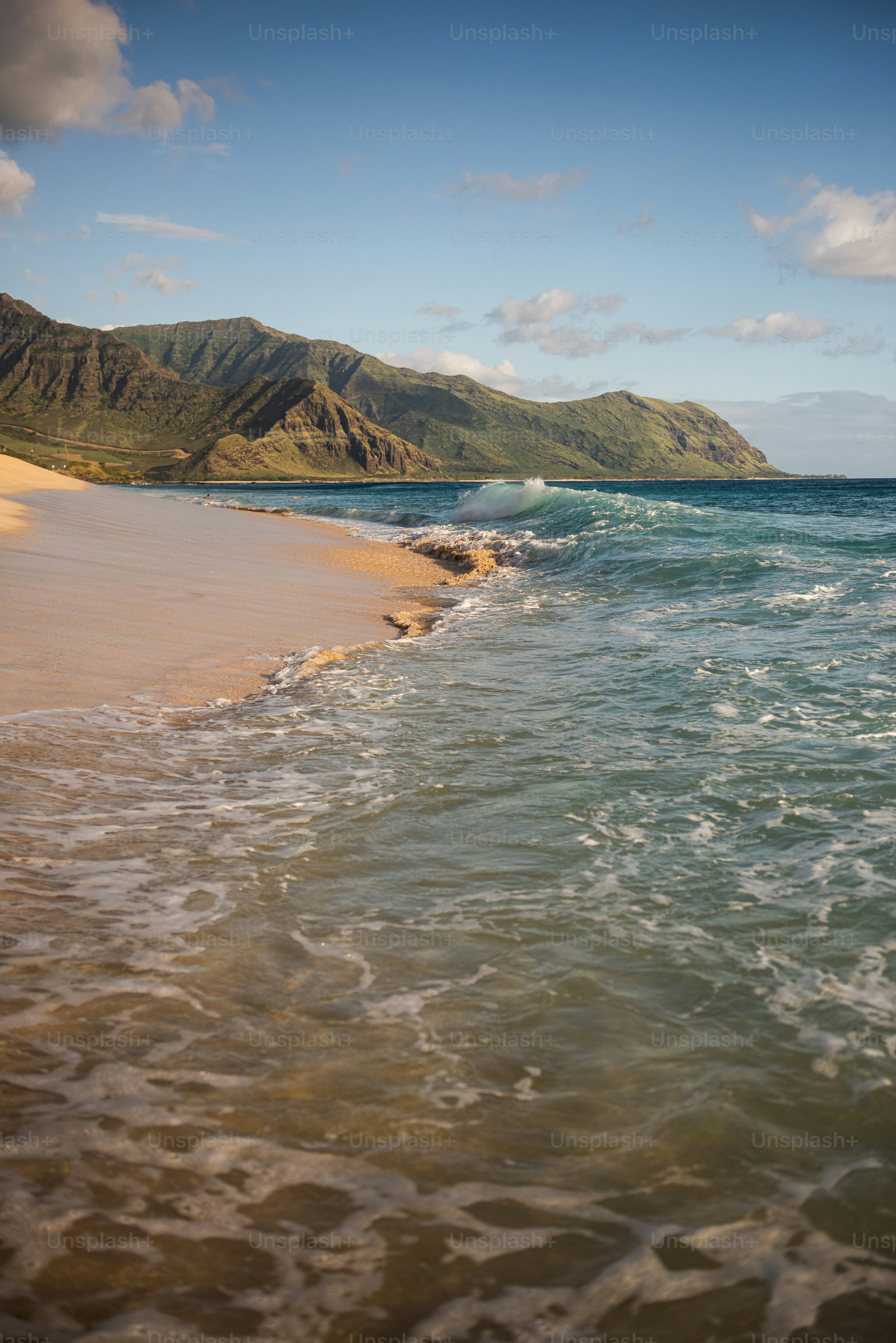 Best 500+ Tropical Pictures | Download Free Images & Stock Photos on ...