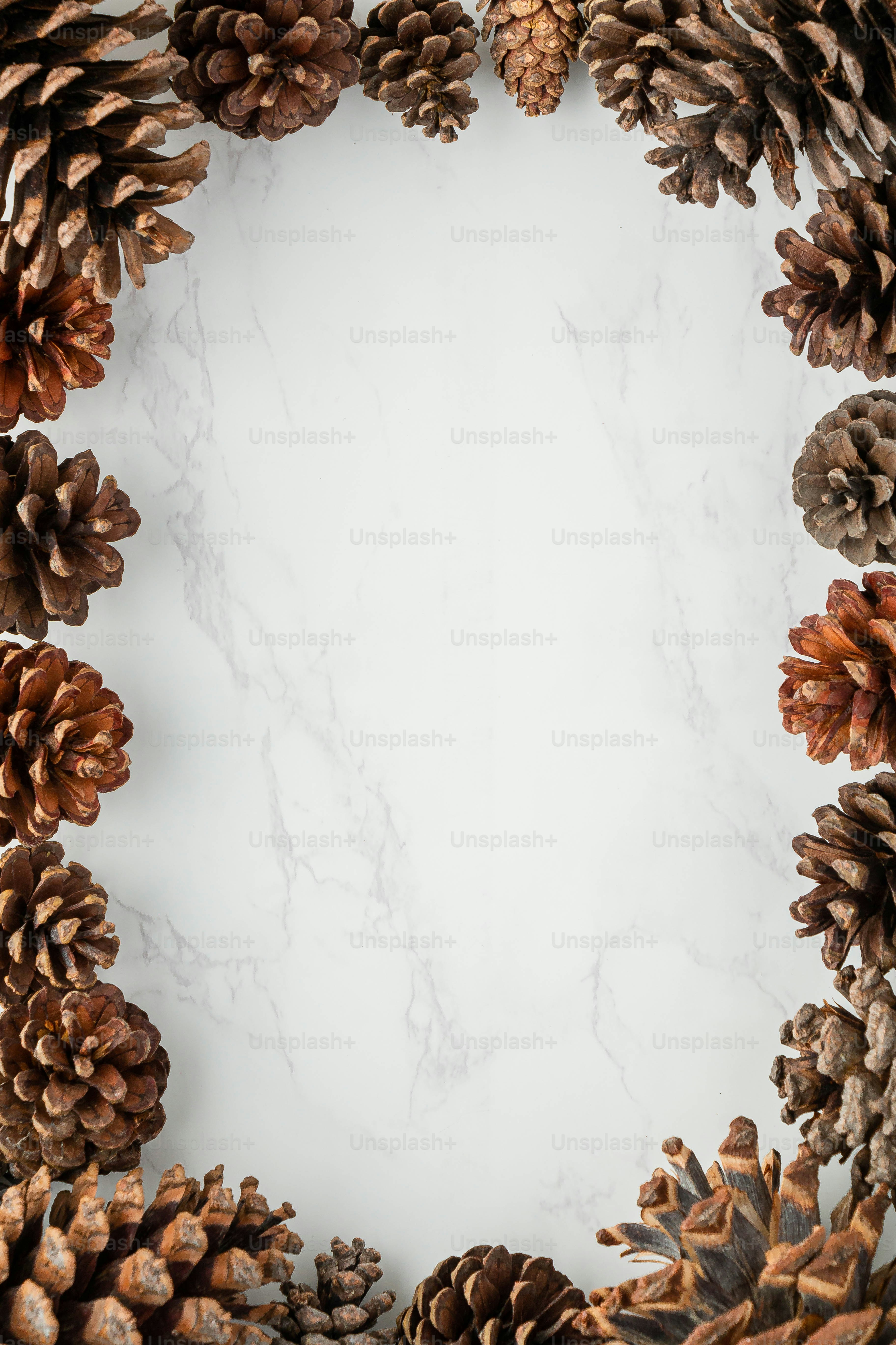 Pine Cone Wall Border