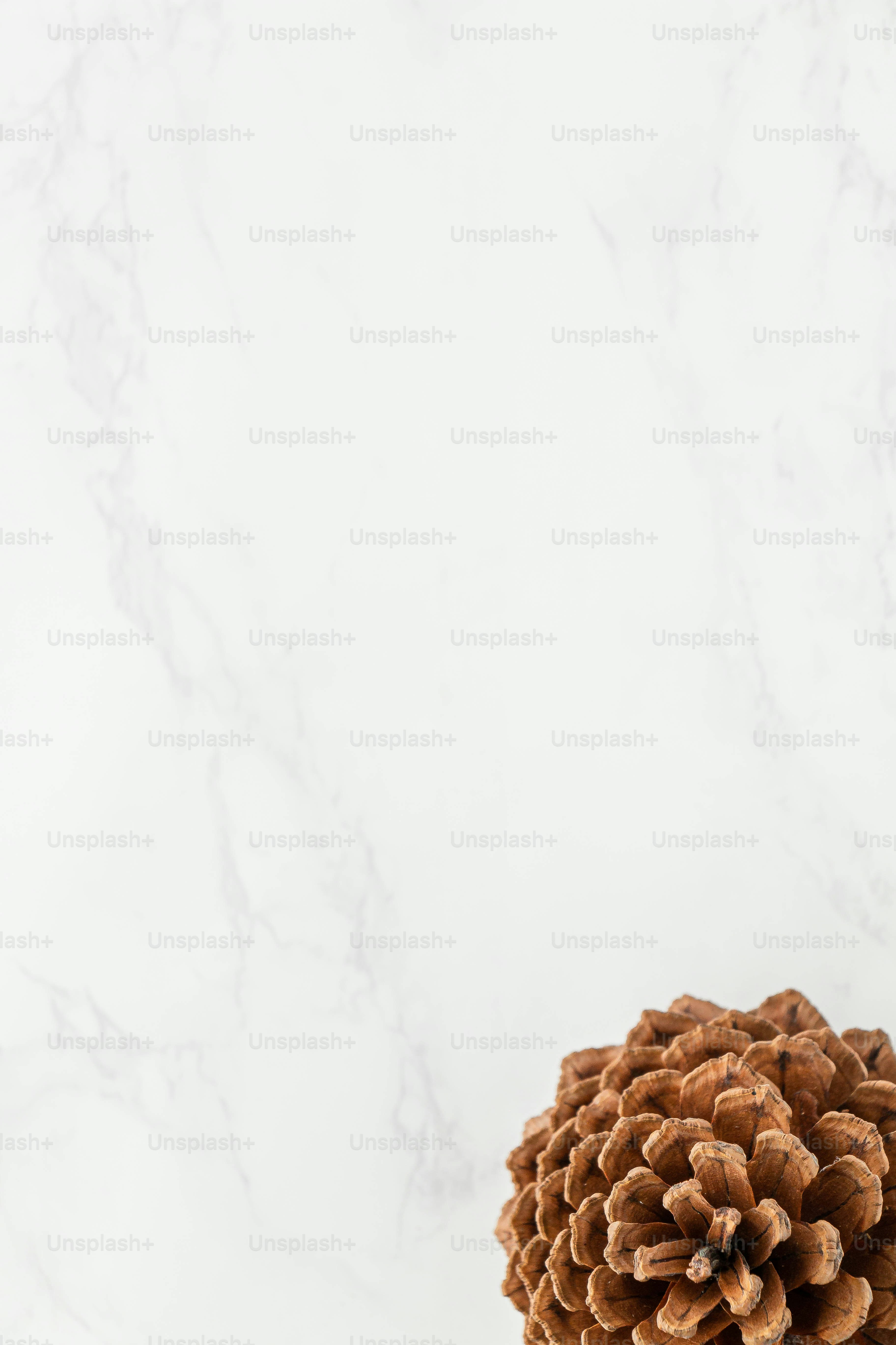 A pile of brown objects photo – Wallpaper Image on Unsplash