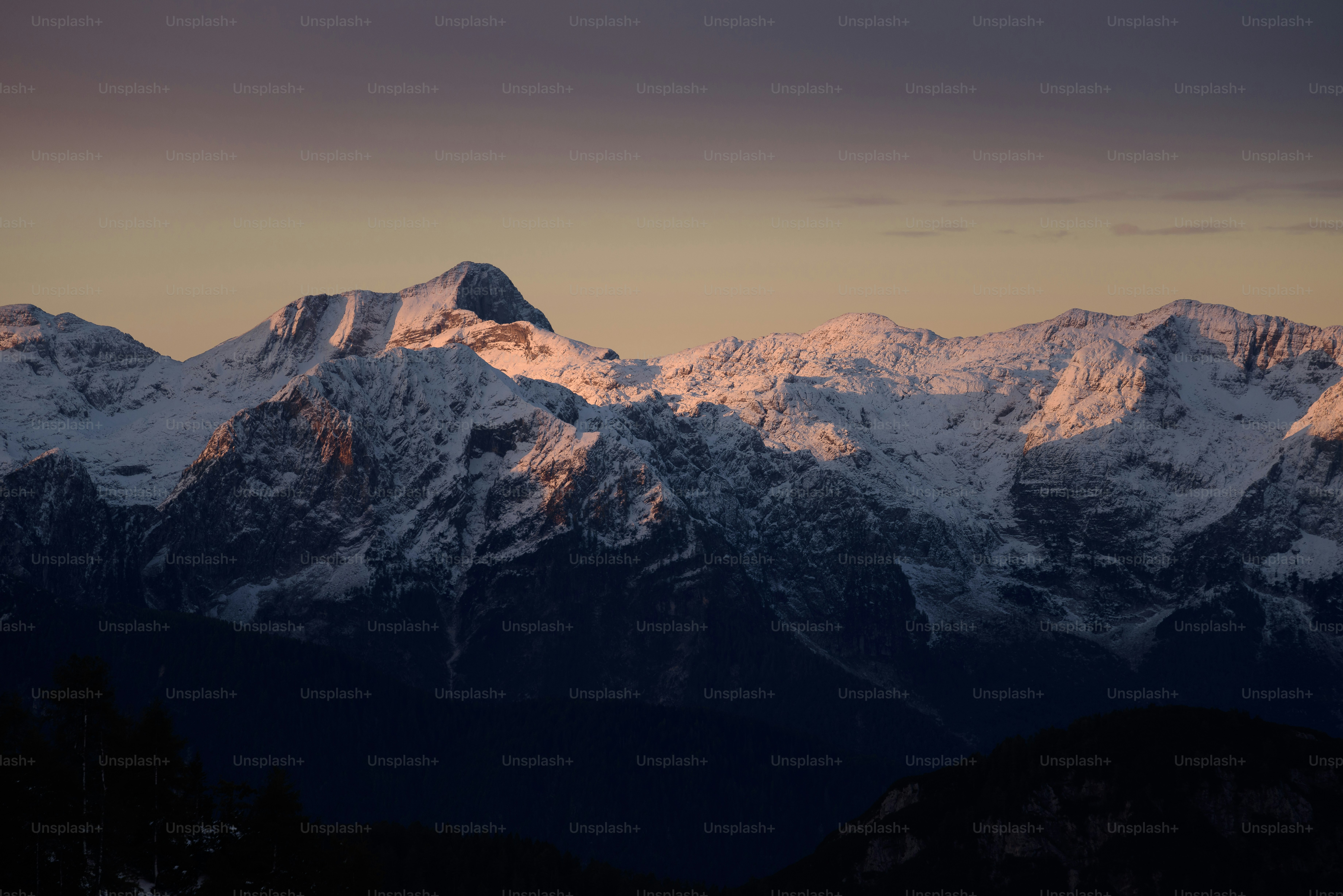 100+ Desktop Pictures | Download Free Images on Unsplash