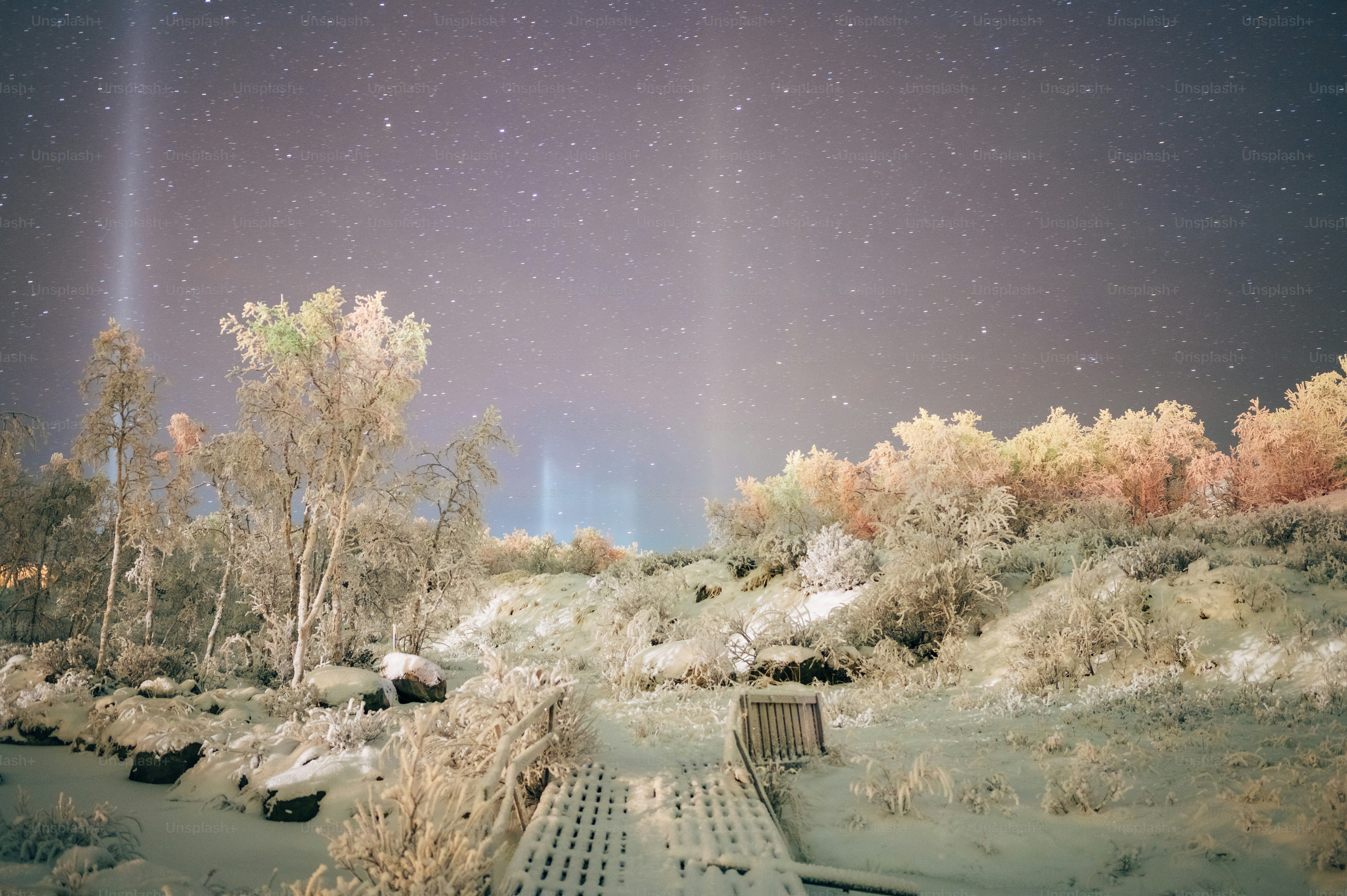 Winter Nights Pictures | Download Free Images on Unsplash