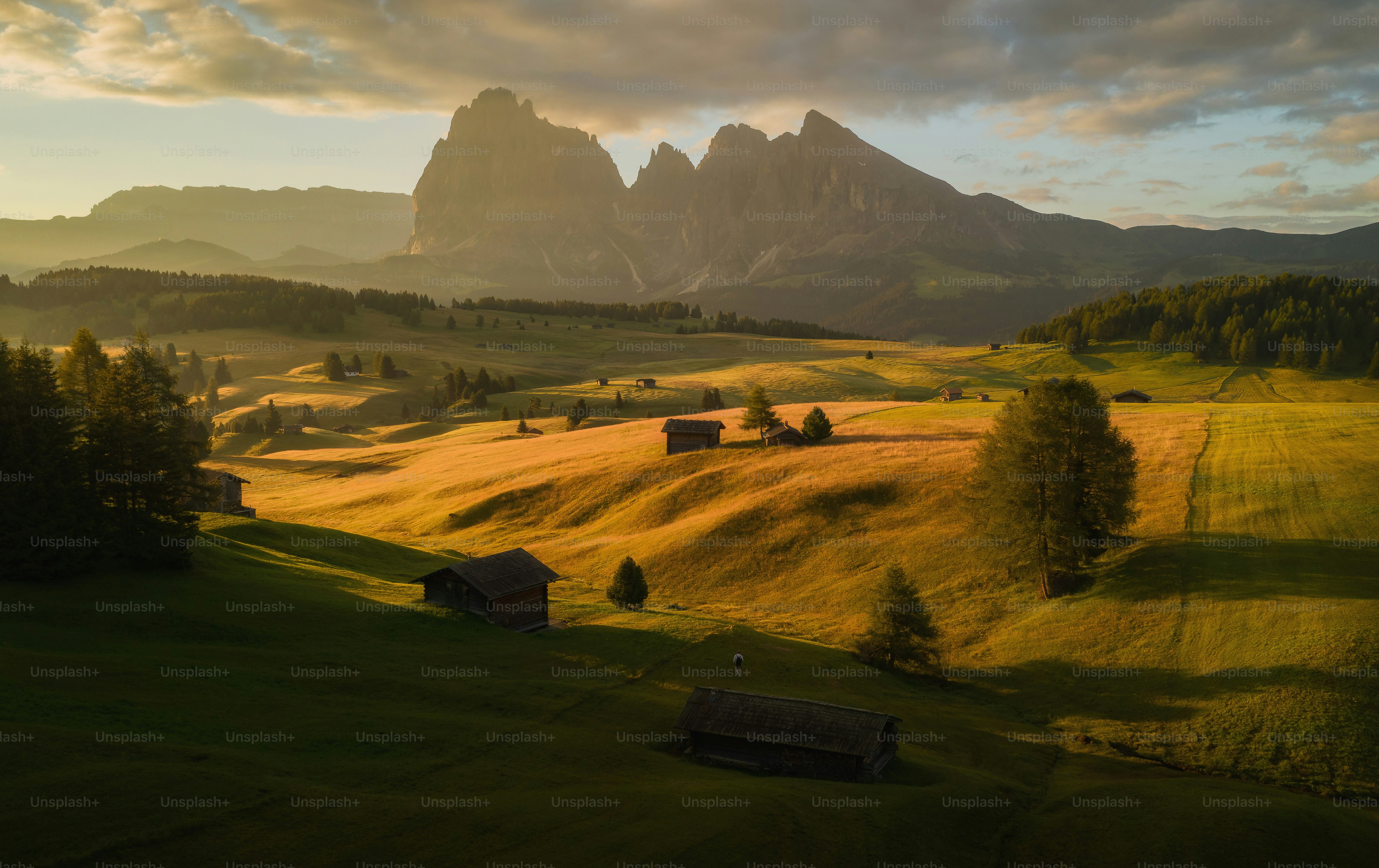 50,000+ Ultra Wide Pictures | Download Free Images on Unsplash