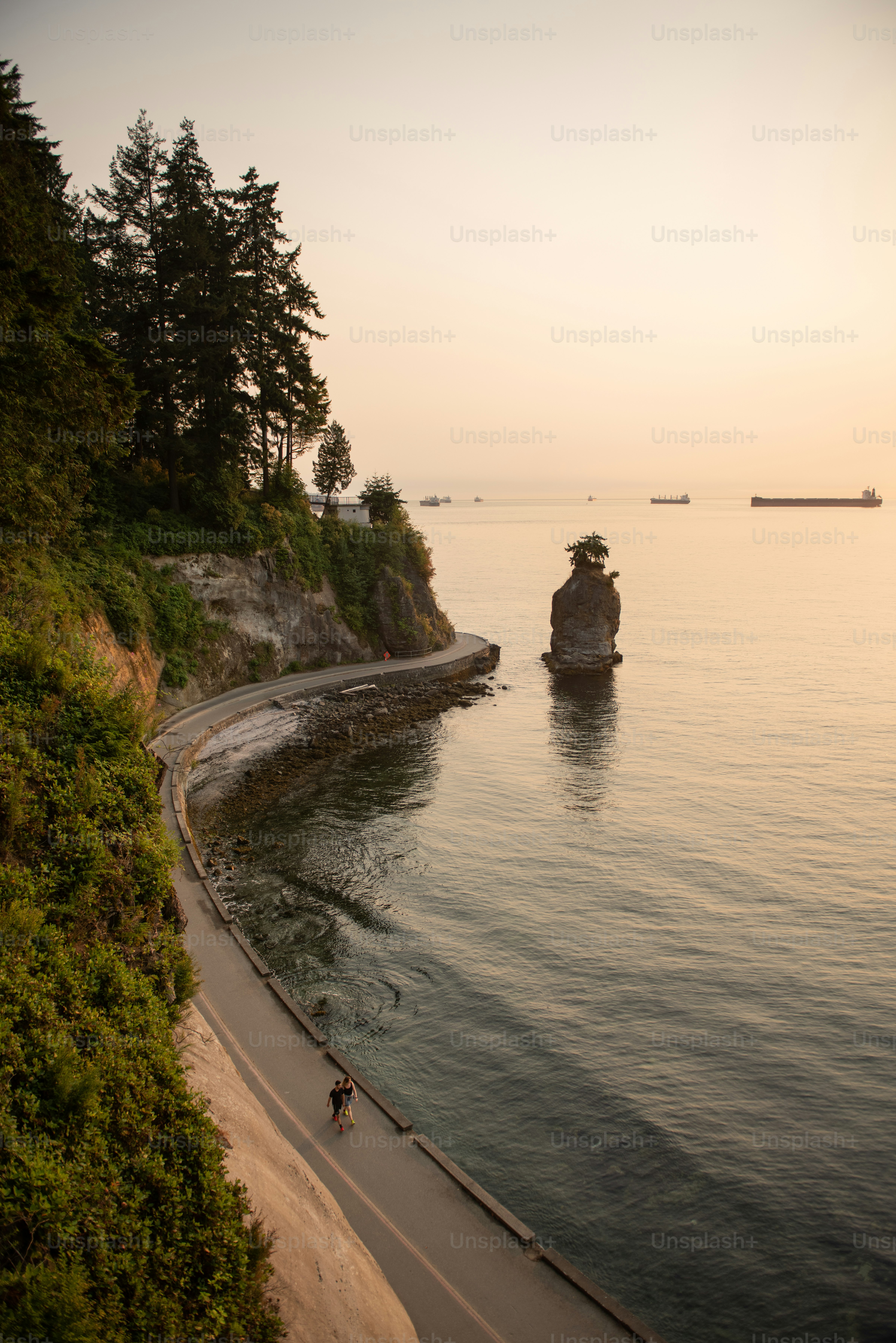 A person walking on a path by a body of water photo – Nature Image on ...