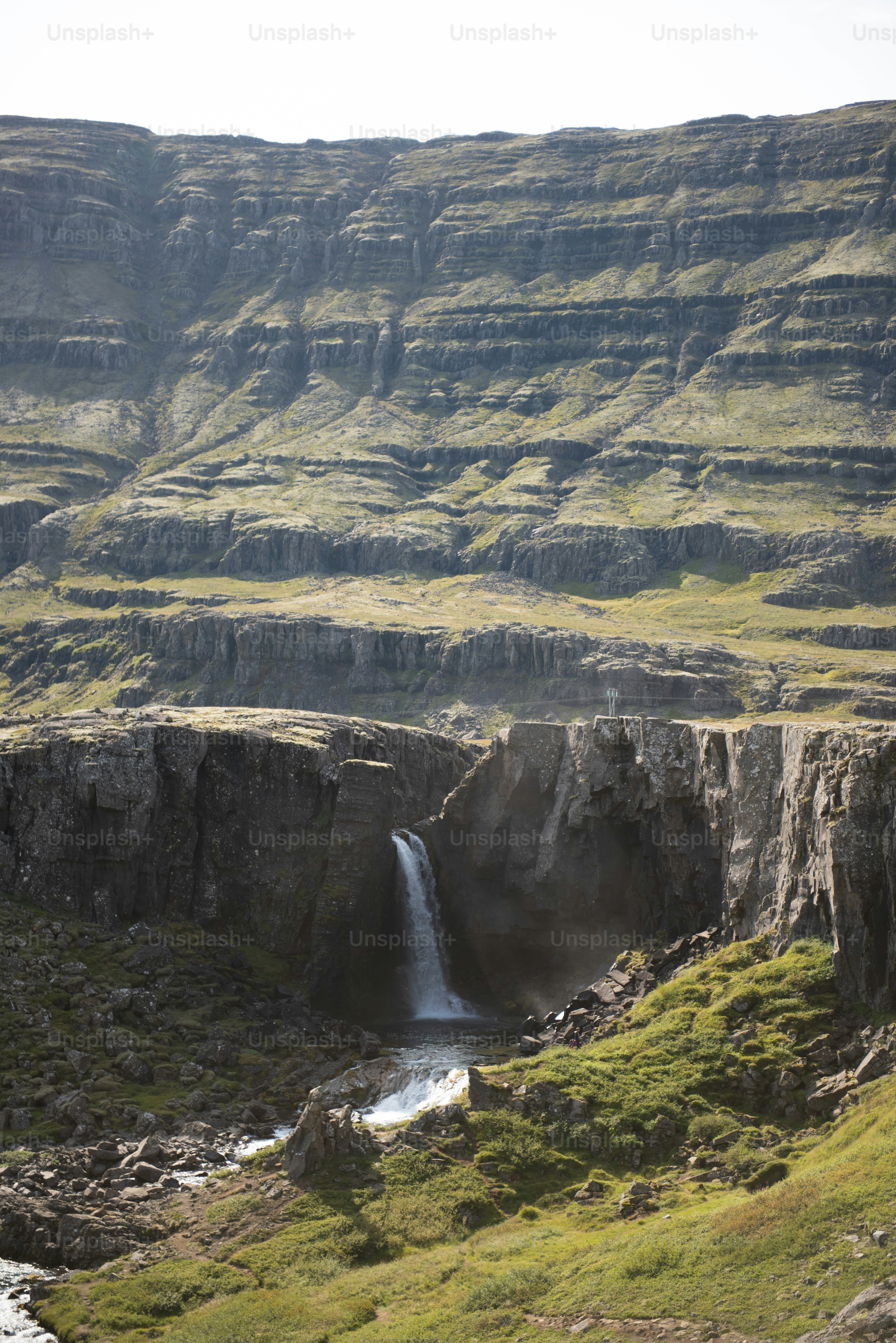 500+ Greenery Pictures [HQ] | Download Free Images on Unsplash