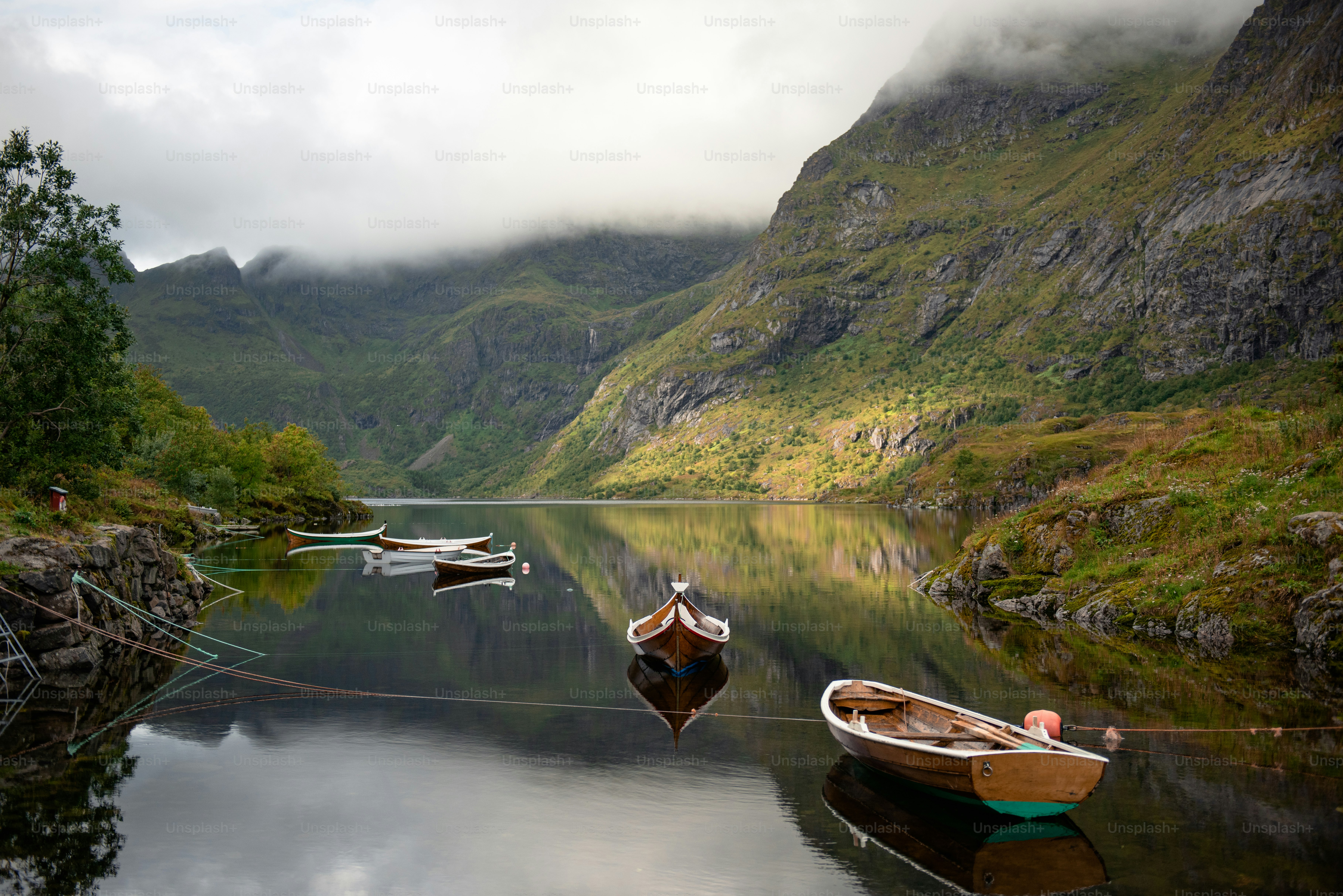 A group of boats sit in a lake photo – Still Image on Unsplash