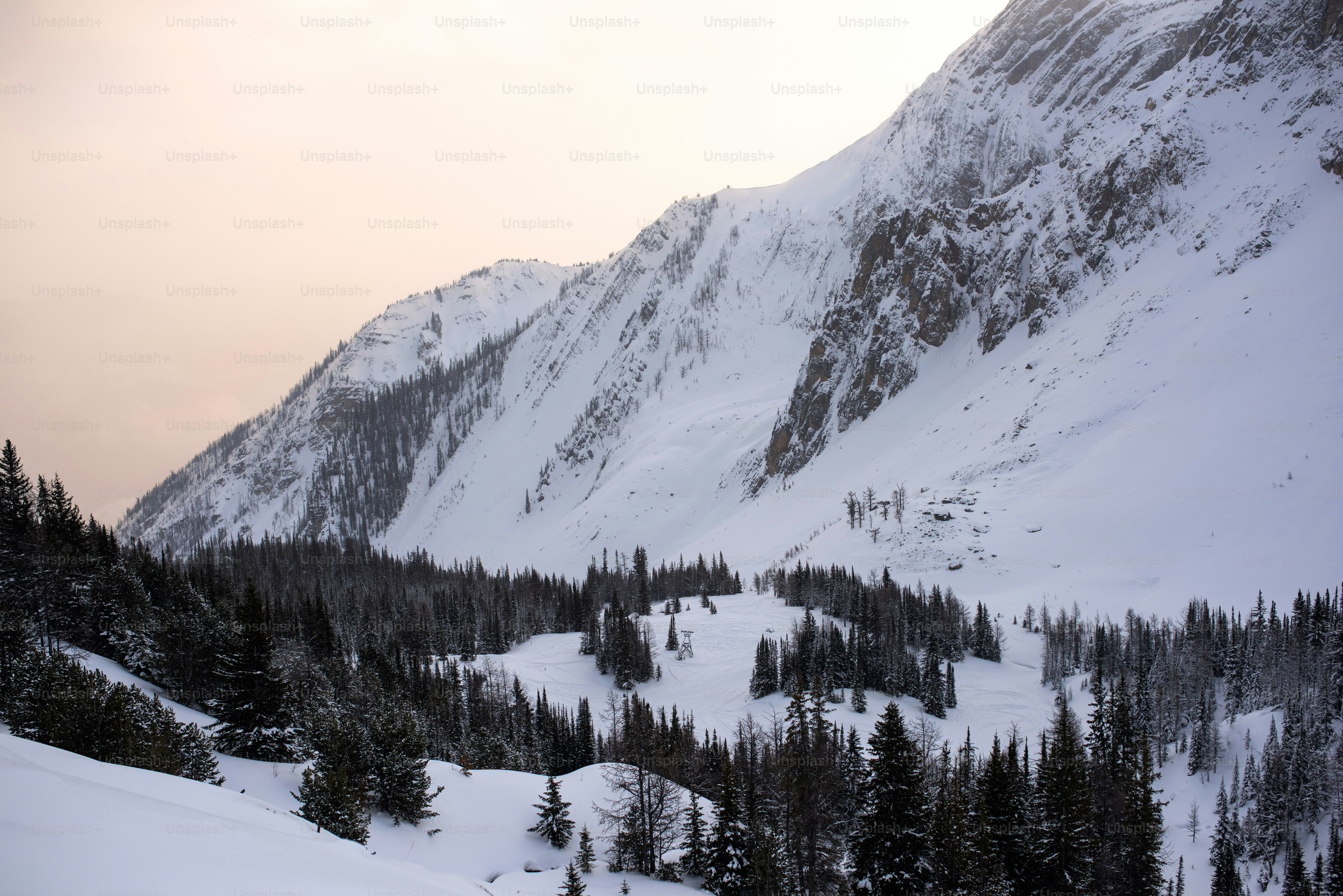 A snowy mountain with trees photo – Snowy Image on Unsplash