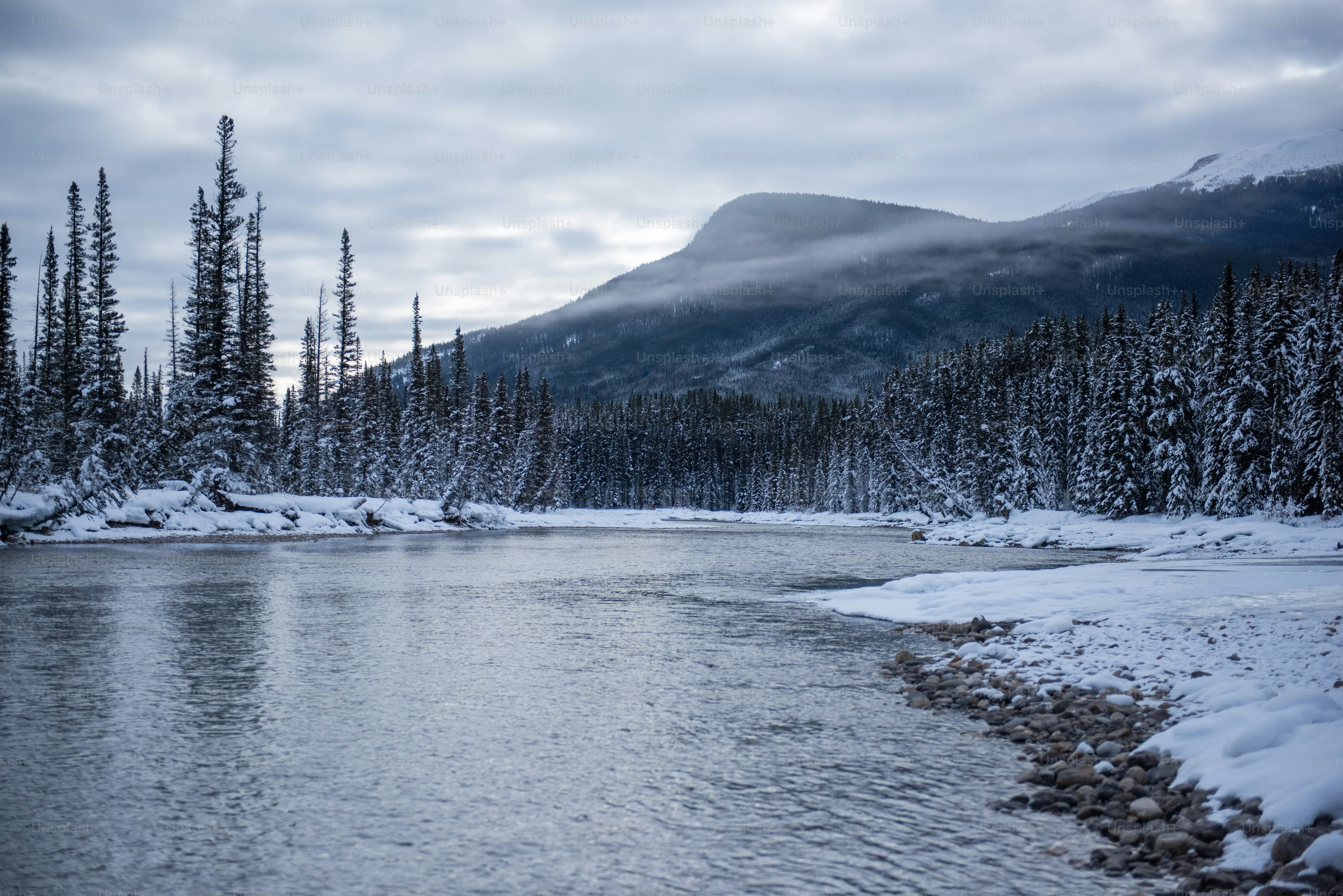 A river with snow and trees photo – Snow Image on Unsplash