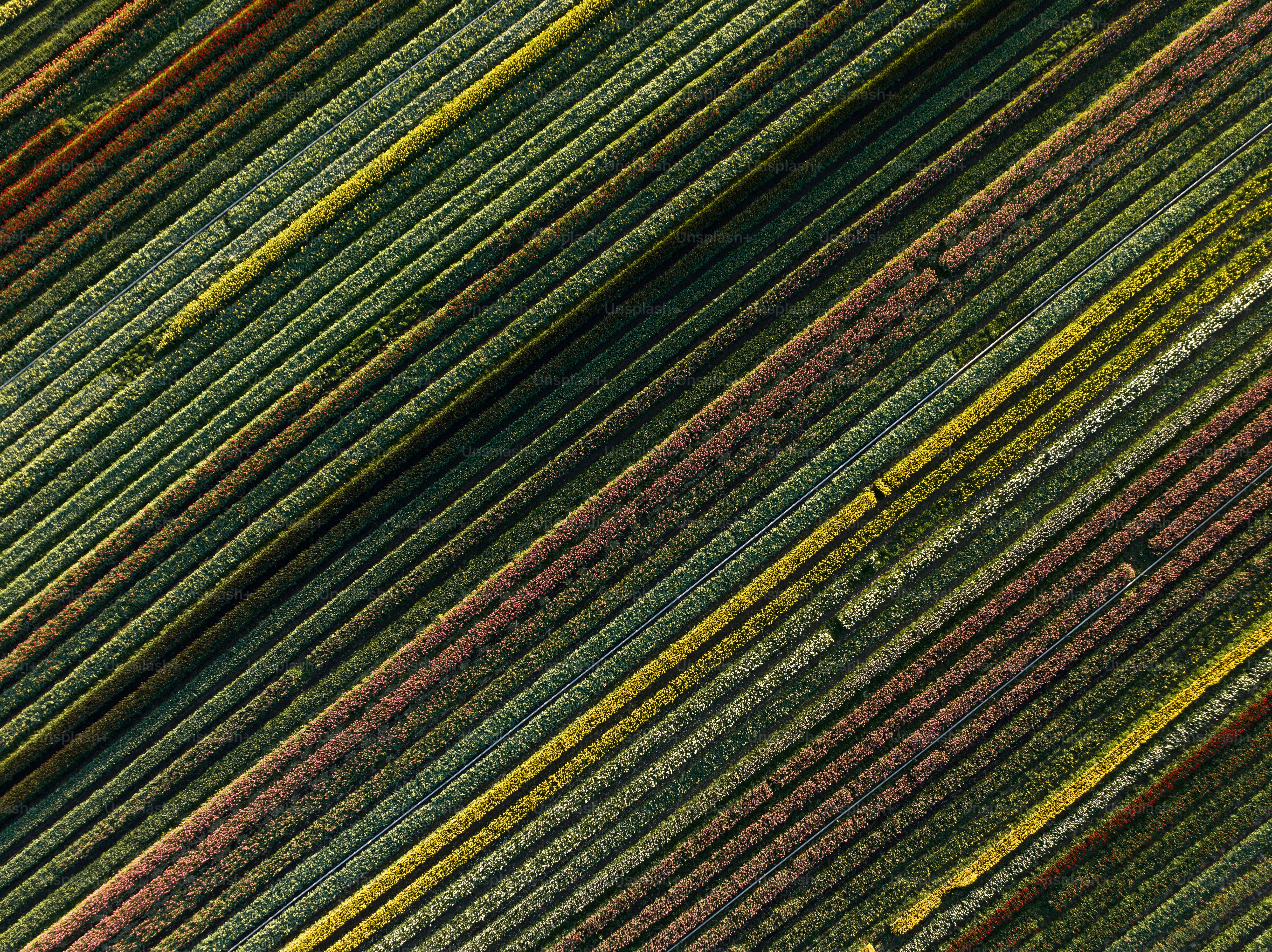 Diagonal Pictures | Download Free Images on Unsplash