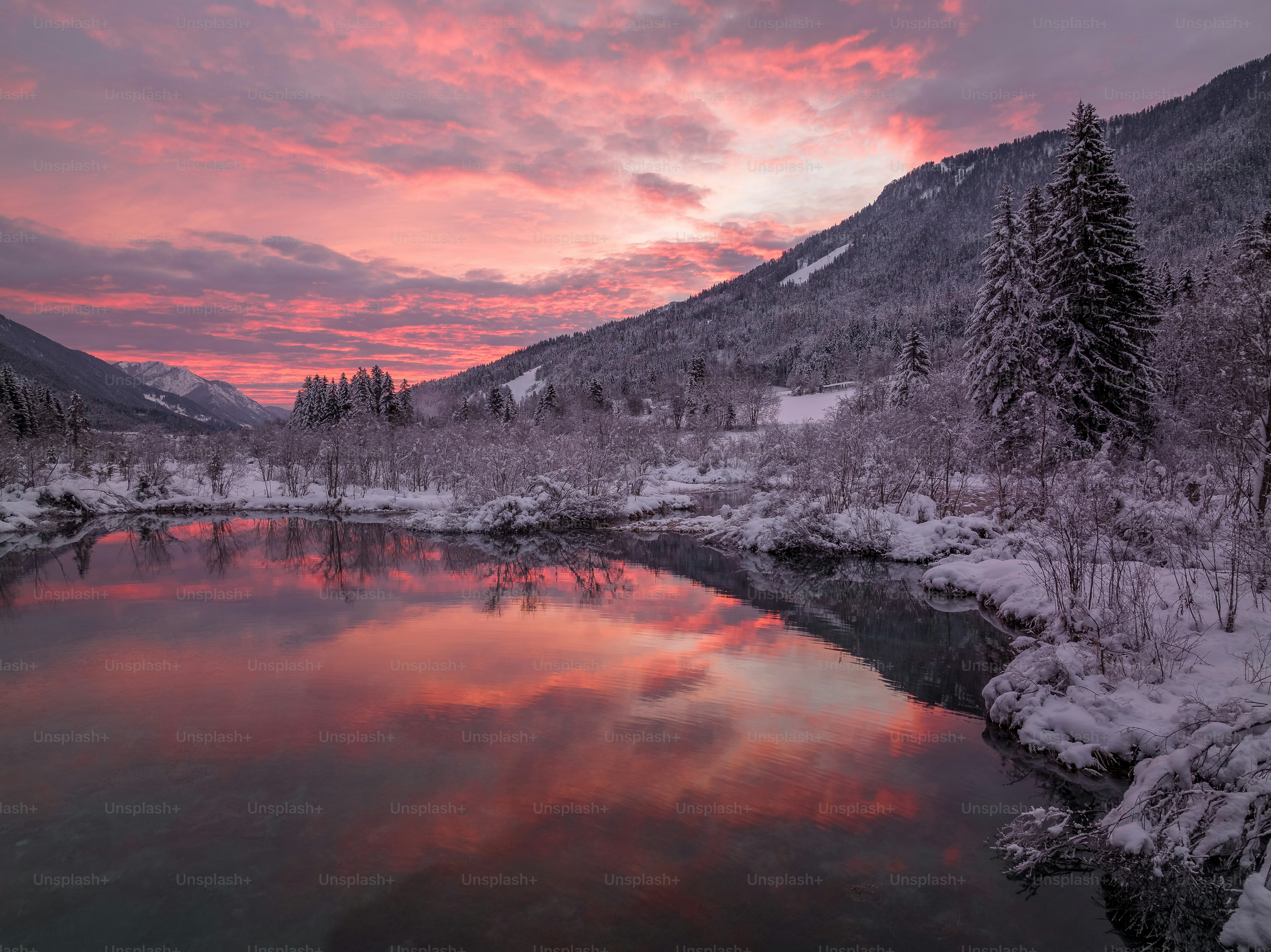 A lake surrounded by snow and trees photo – Winter Image on Unsplash