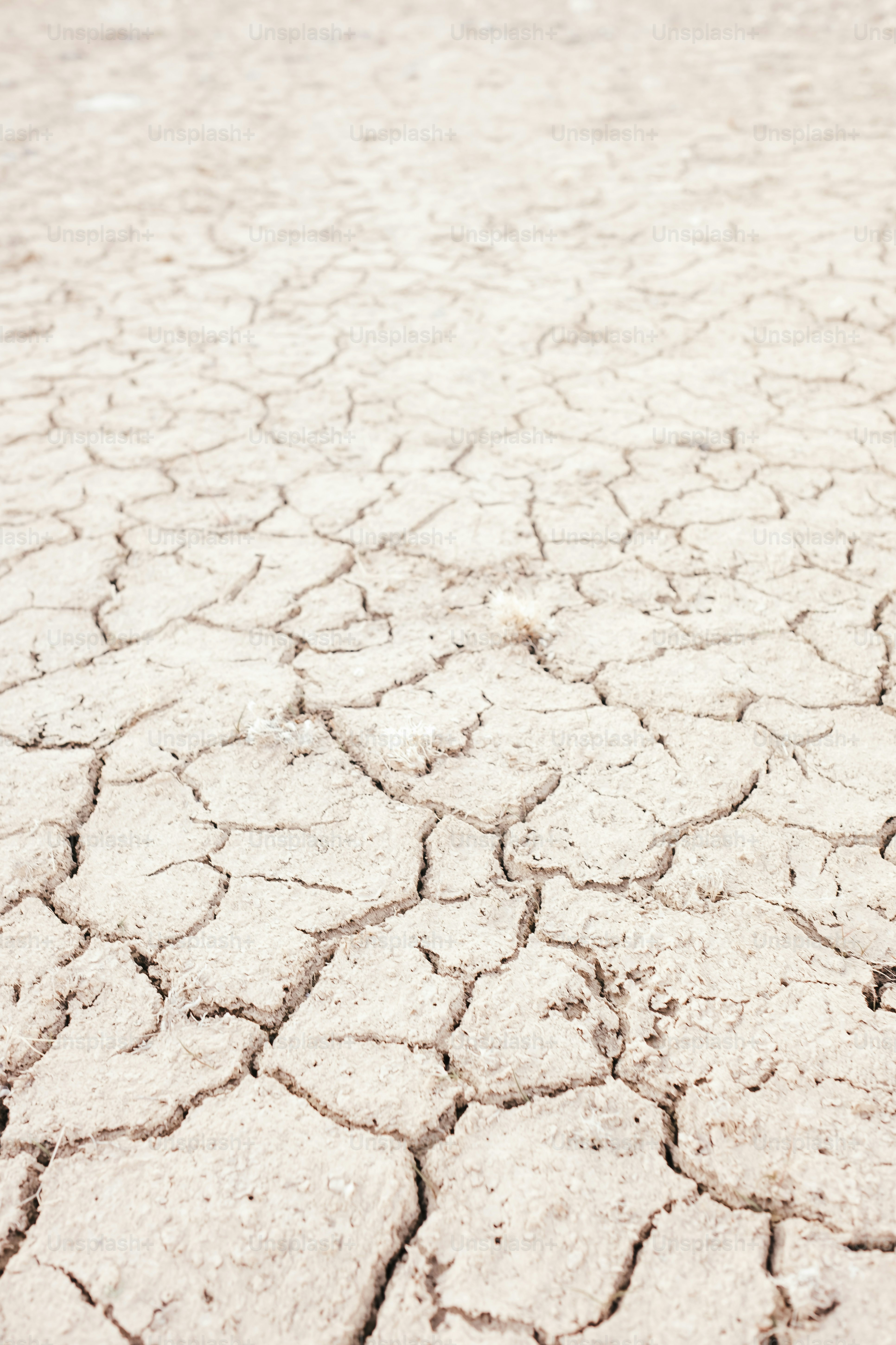 Dry Desert Pictures | Download Free Images on Unsplash