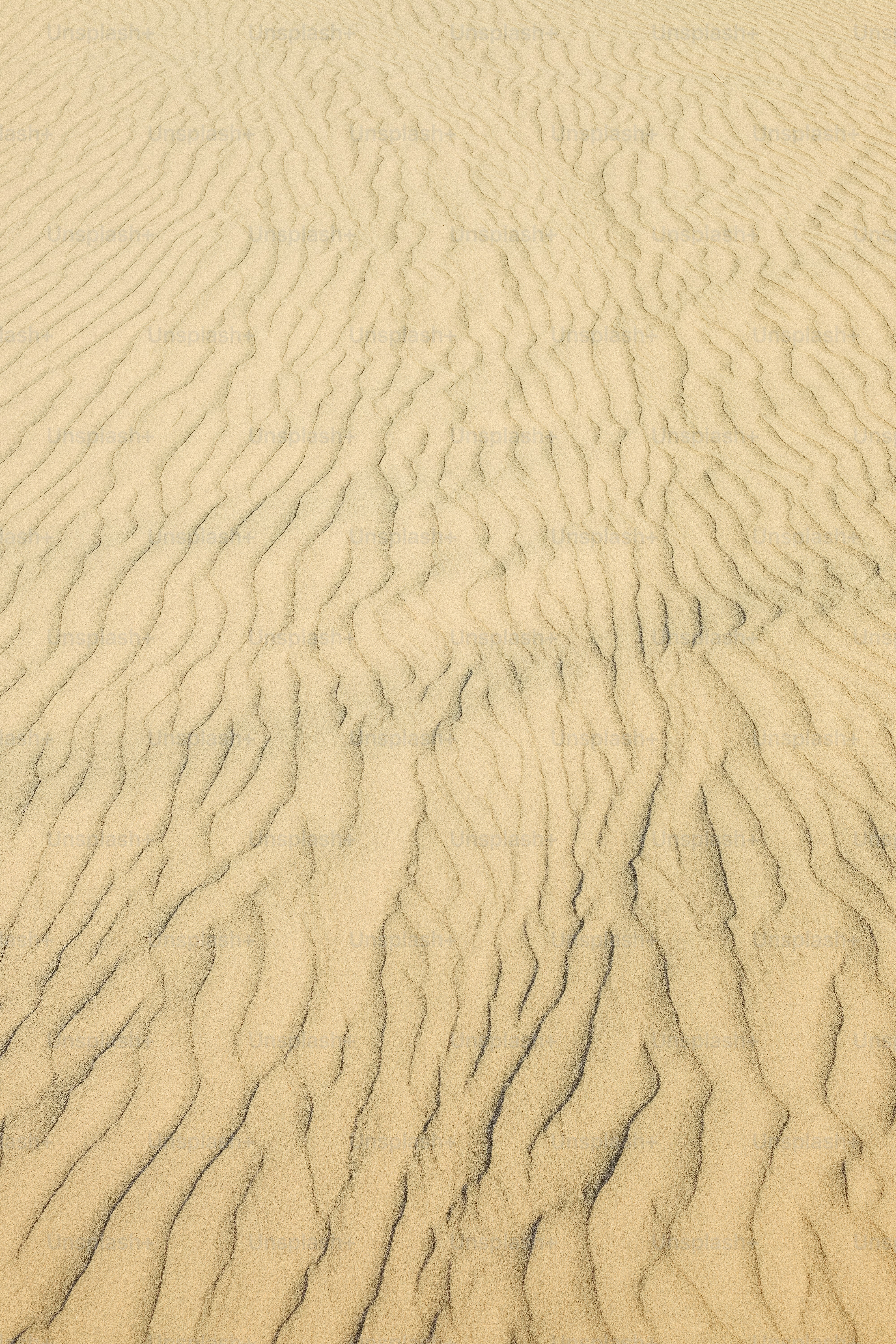 A close up of a sand dune photo – Minimal Image on Unsplash