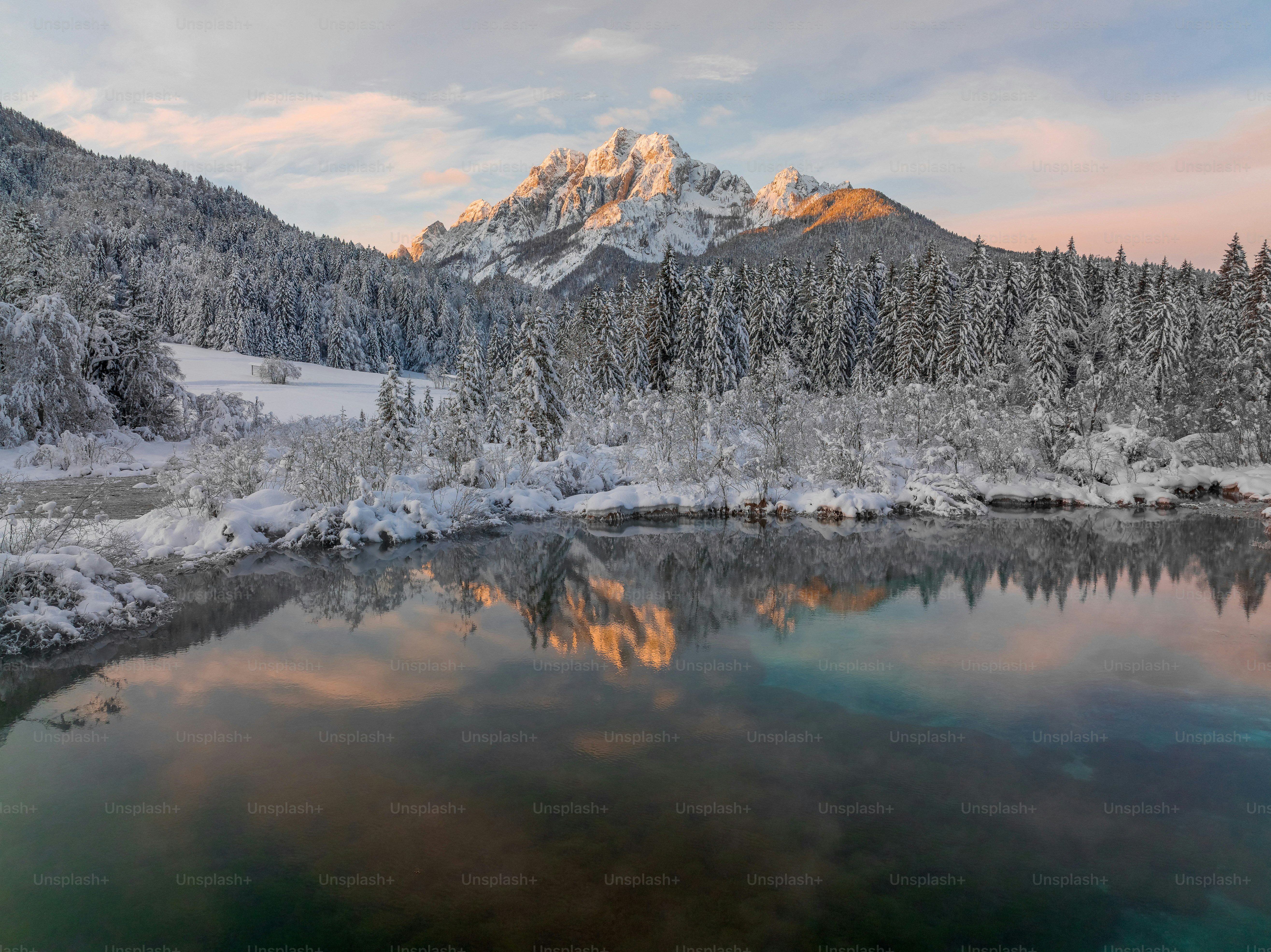 Best 500+ Winter Pictures | Download Free Images & Stock Photos on Unsplash