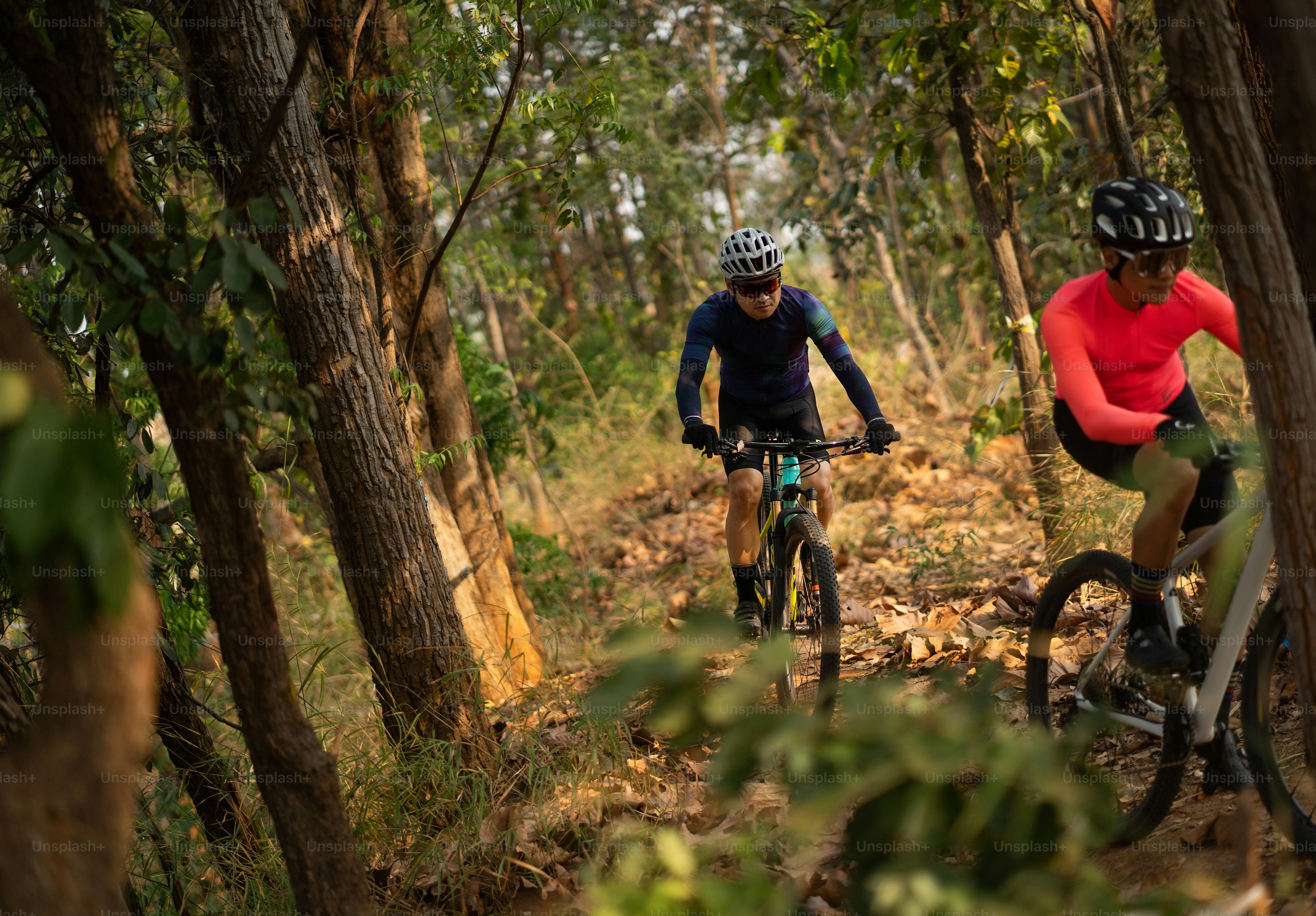 Group of Asian cyclists, they cycle through rural and forest roads ...