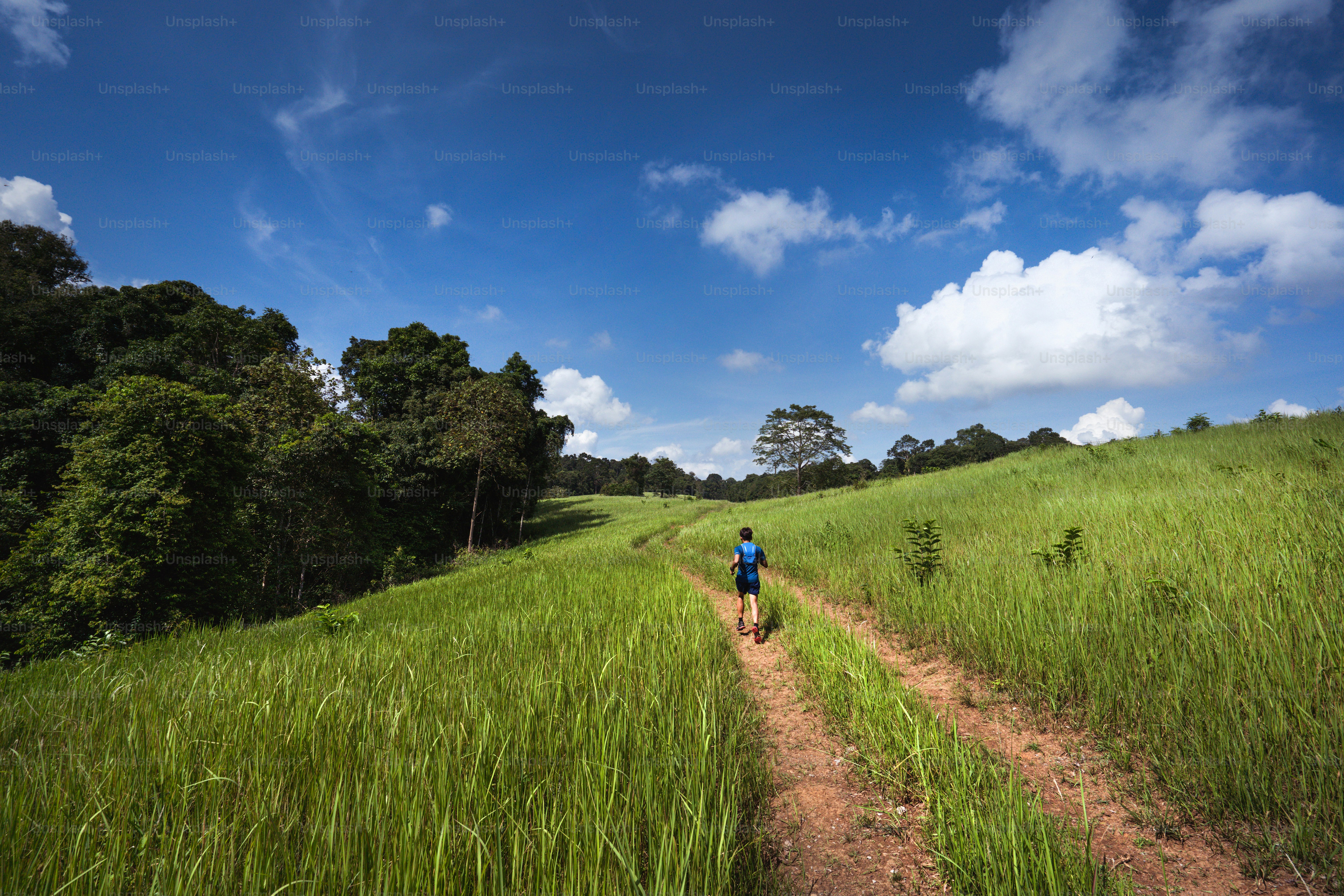 Asian men are running a trail In the natural path photo – Healthy ...