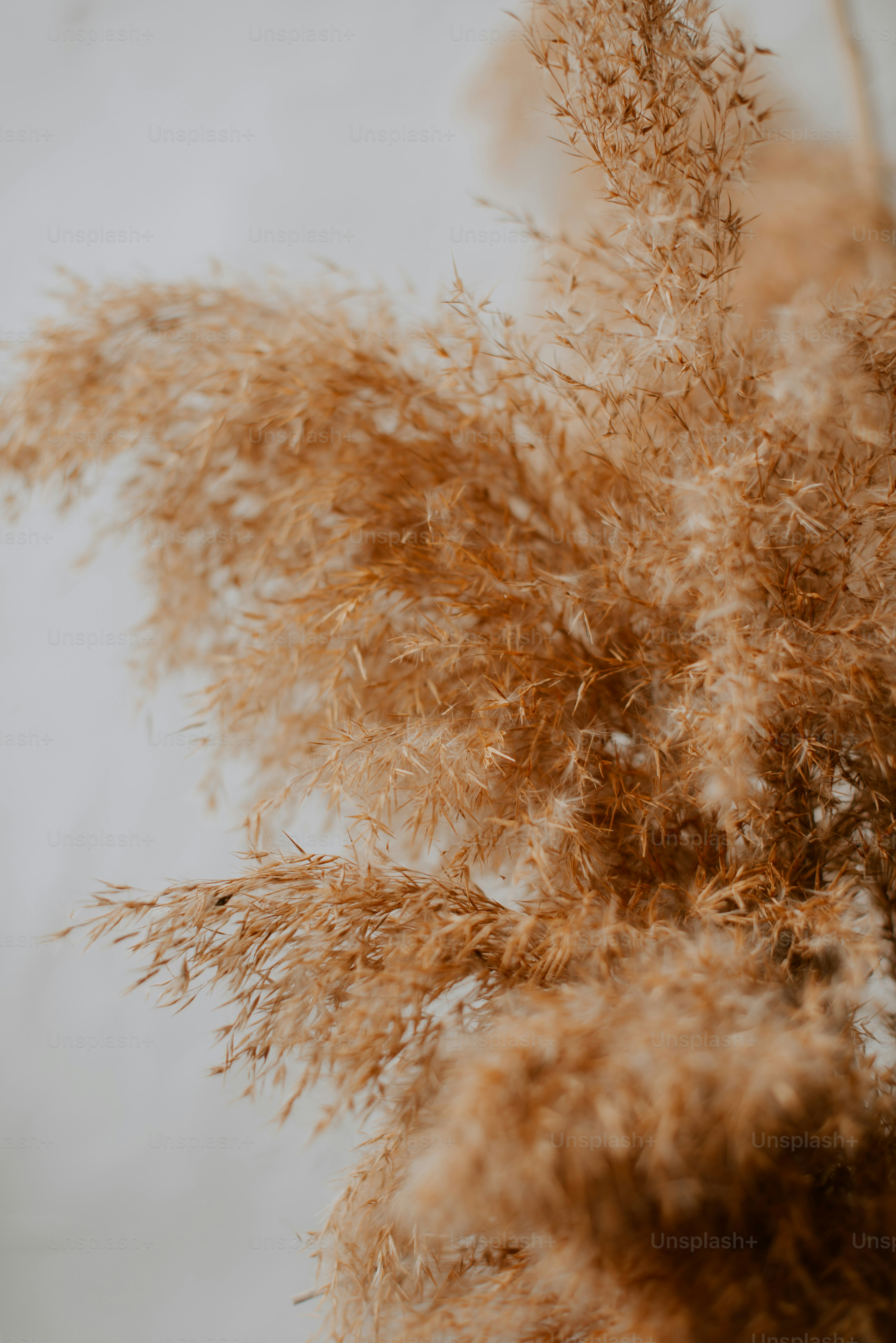 Soft Textures Pictures | Download Free Images on Unsplash