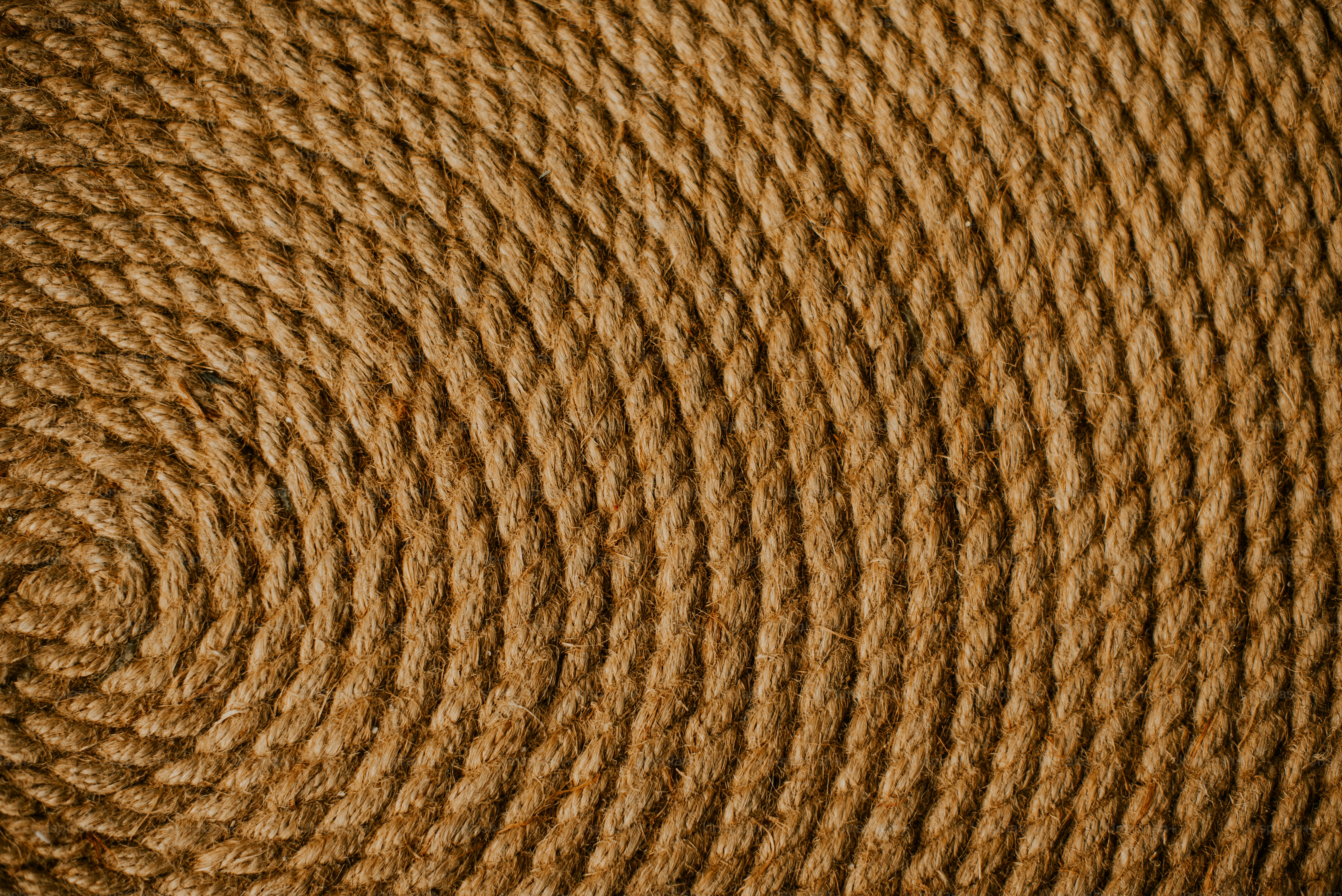 Cords Pictures | Download Free Images on Unsplash