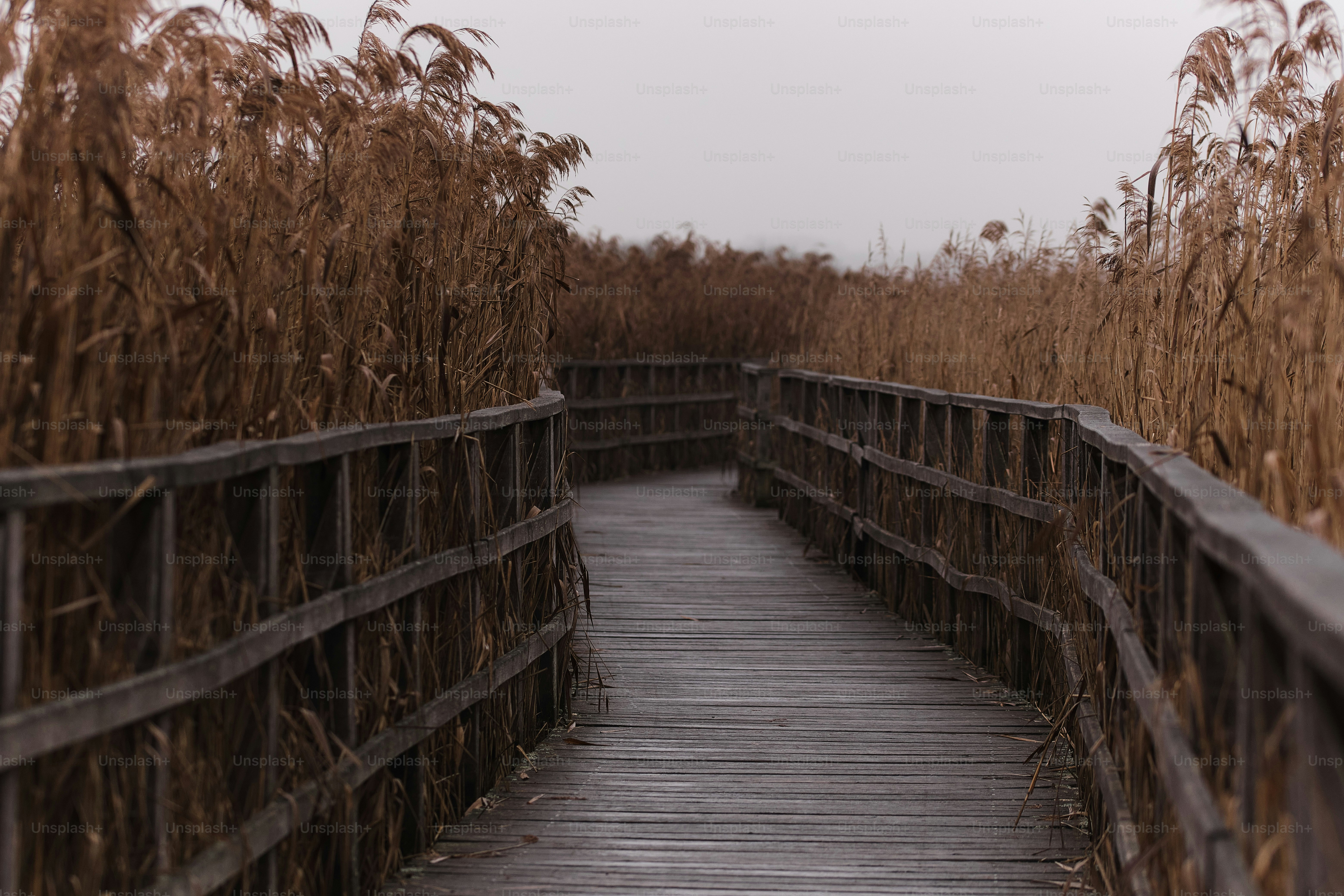 Ramp Walk Pictures | Download Free Images on Unsplash