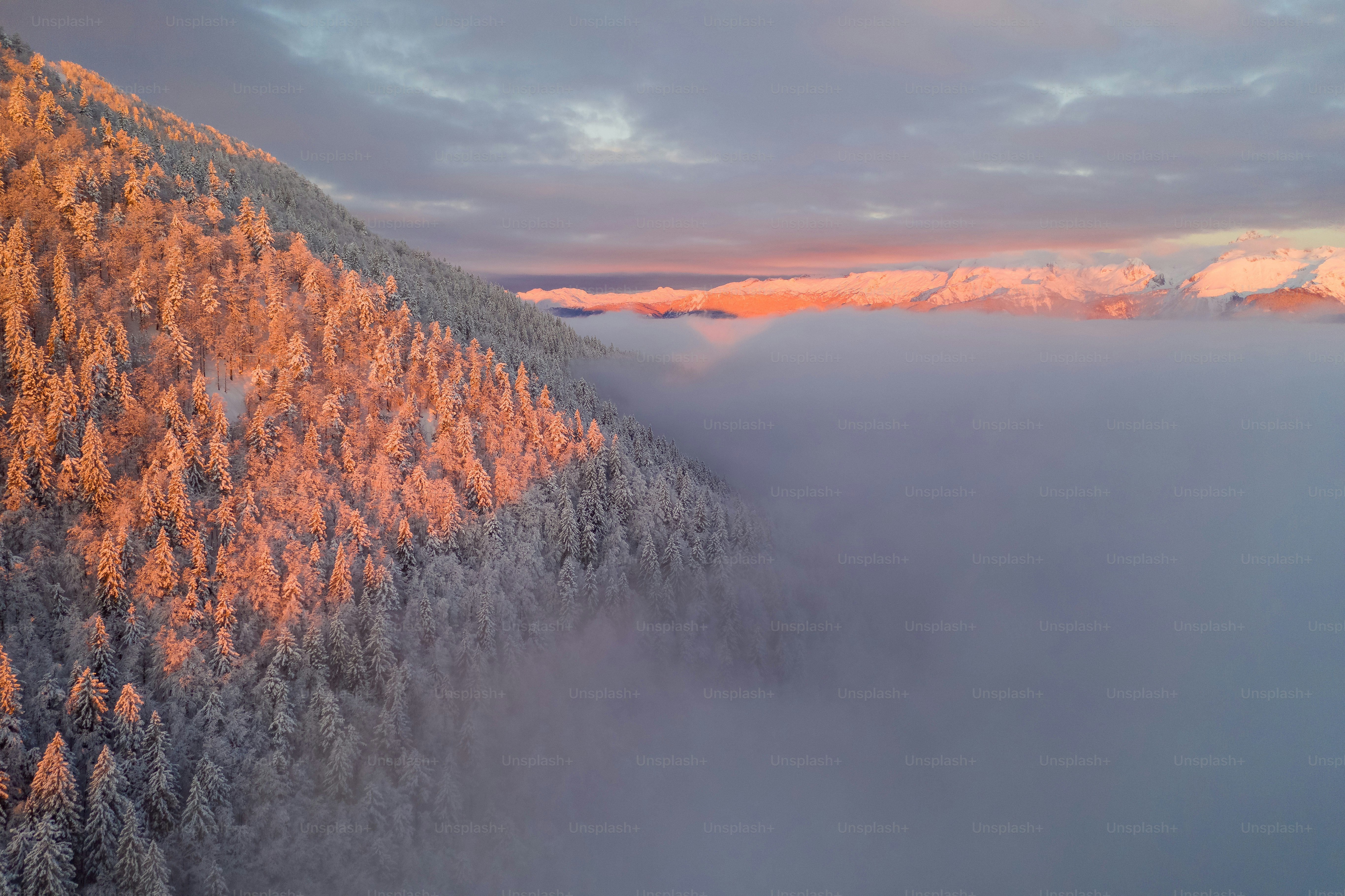 Foto Una montaña brumosa con árboles y niebla – Vista de la naturaleza ...