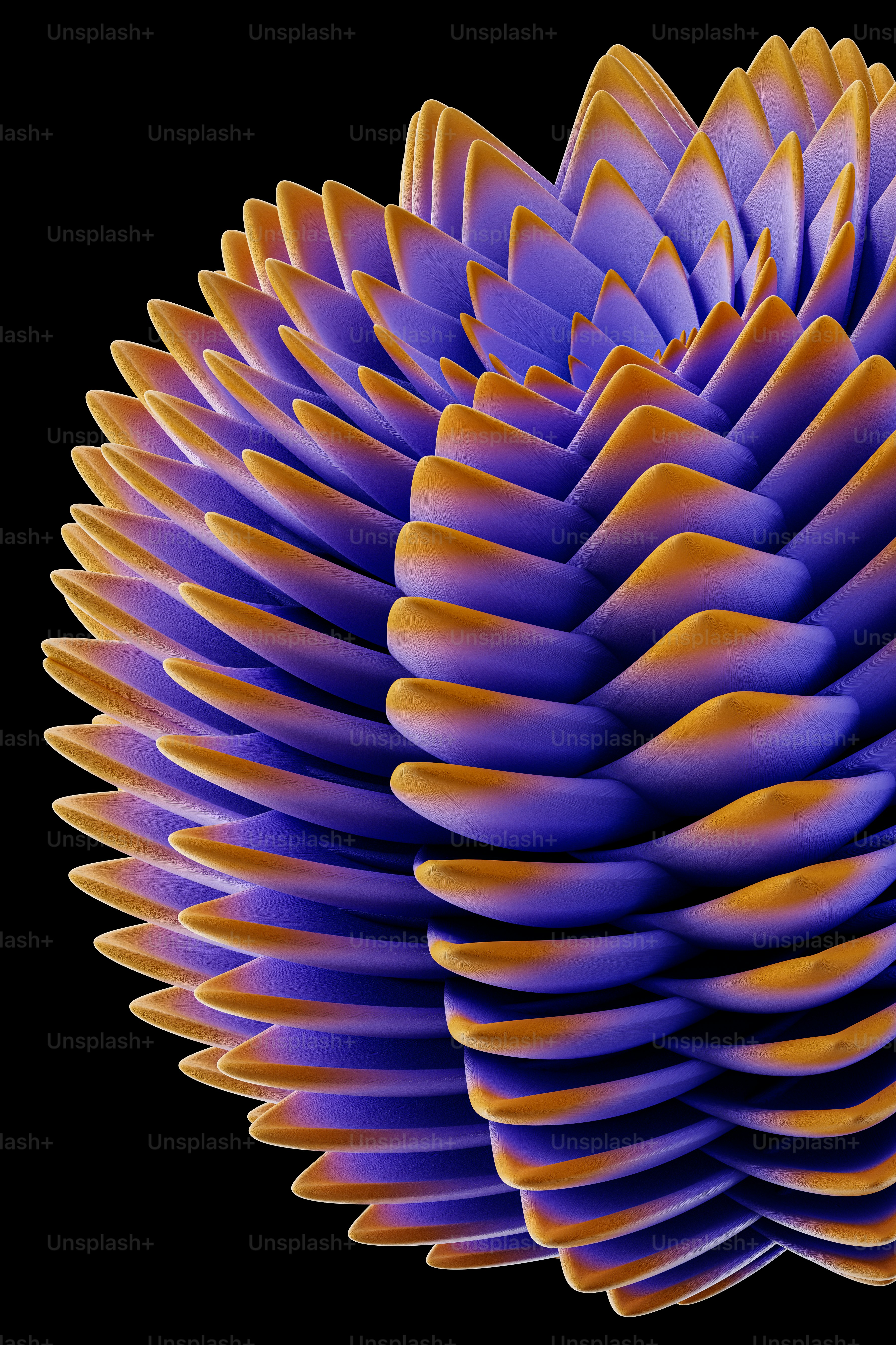 Beautiful Free Images & Pictures | Unsplash