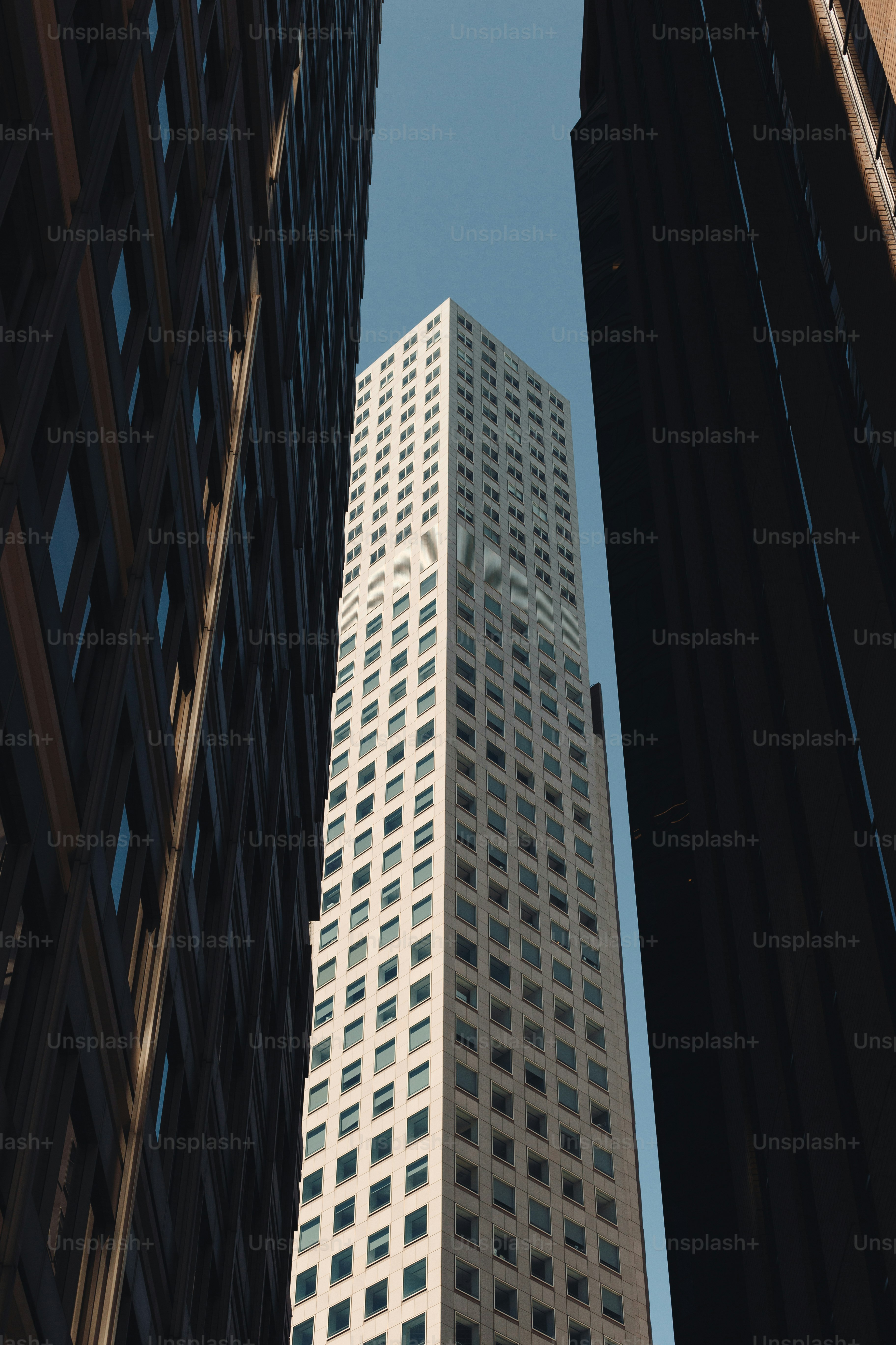 A view of a tall building from the ground photo – High rise Image on ...