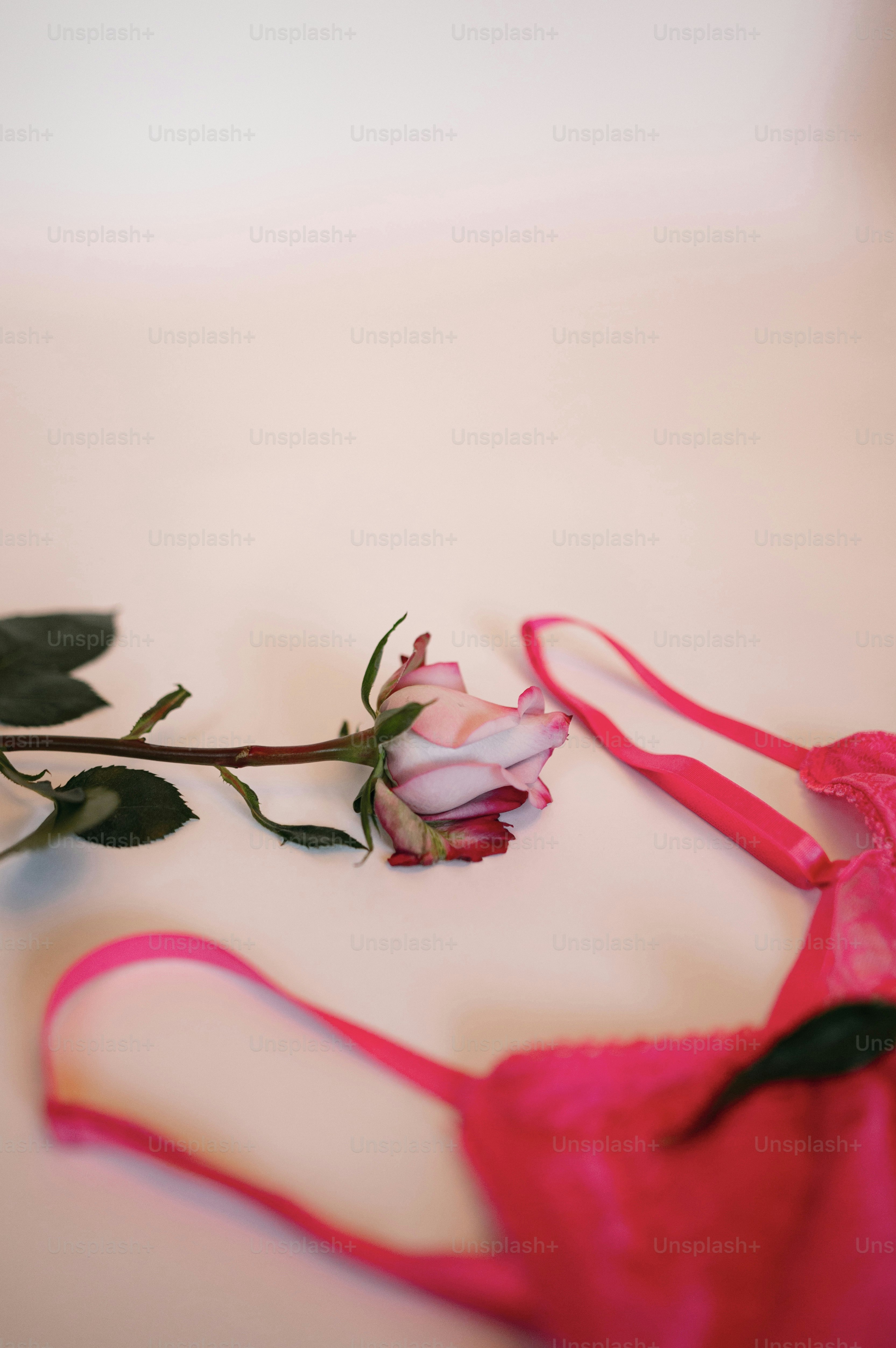 A red ribbon with a flower photo – Bras Image on Unsplash