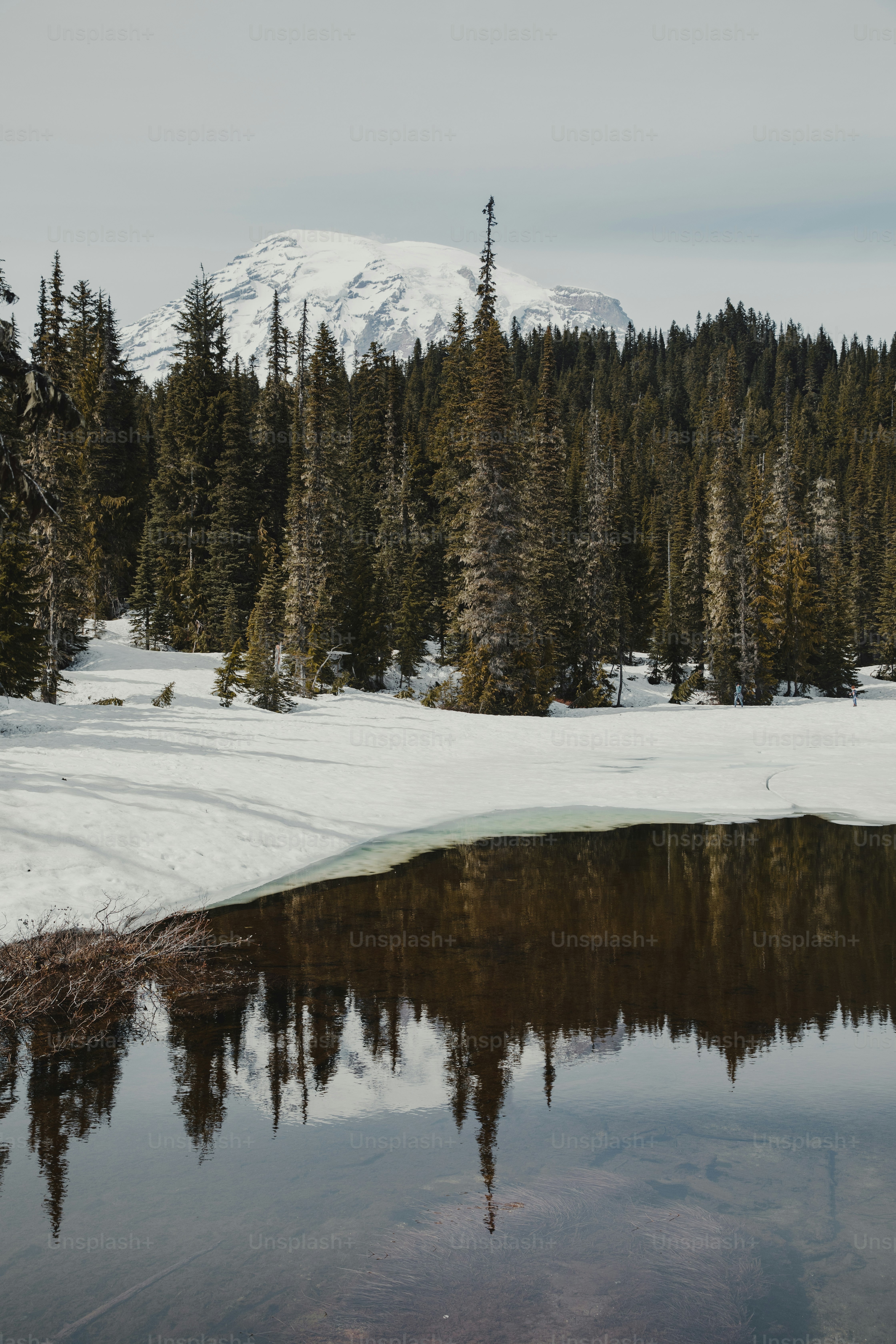 1000+ Nature Scene Pictures | Download Free Images on Unsplash