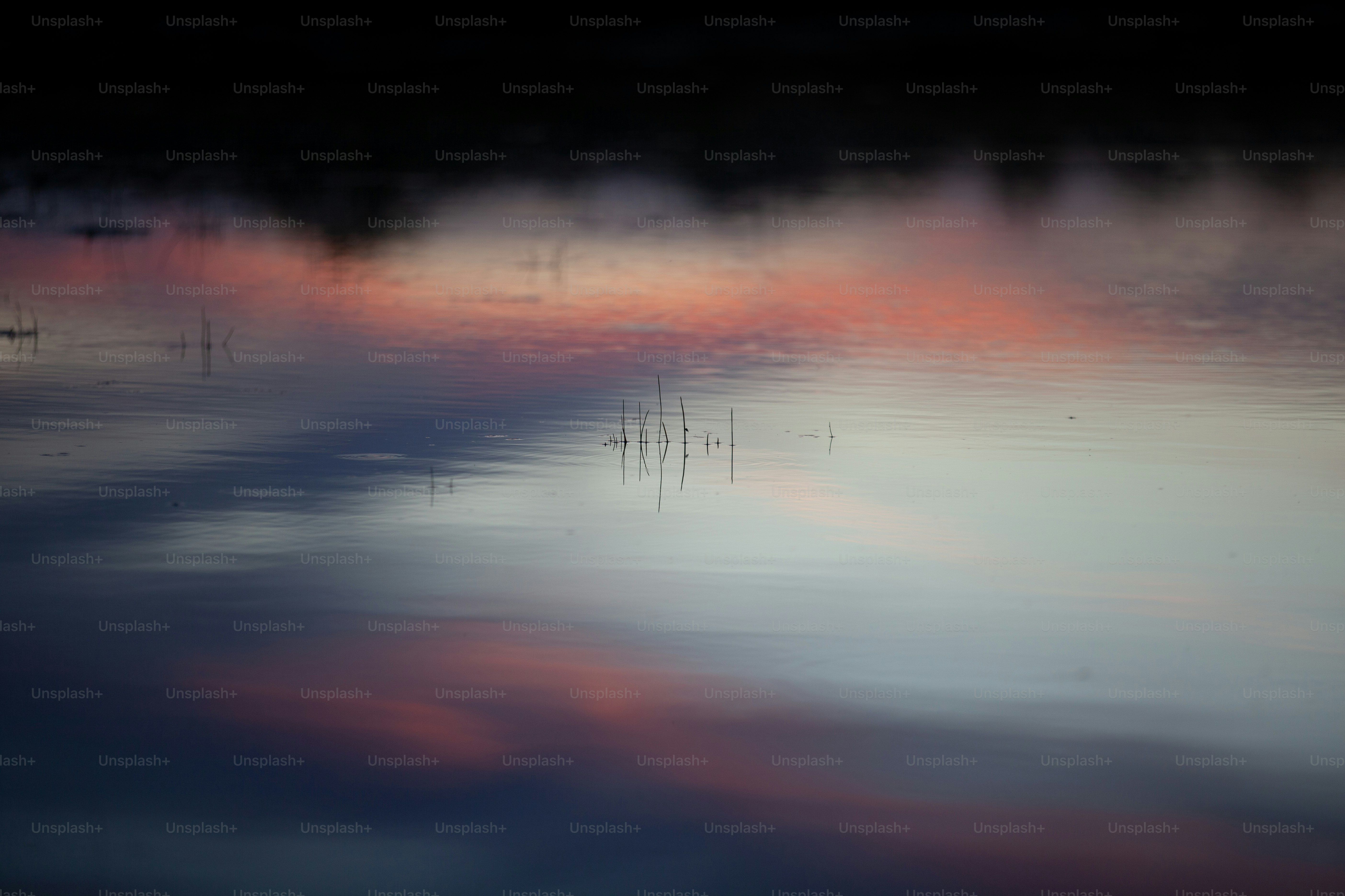 Más de 500 imágenes de cielo rosa | Descargar imágenes gratis en Unsplash