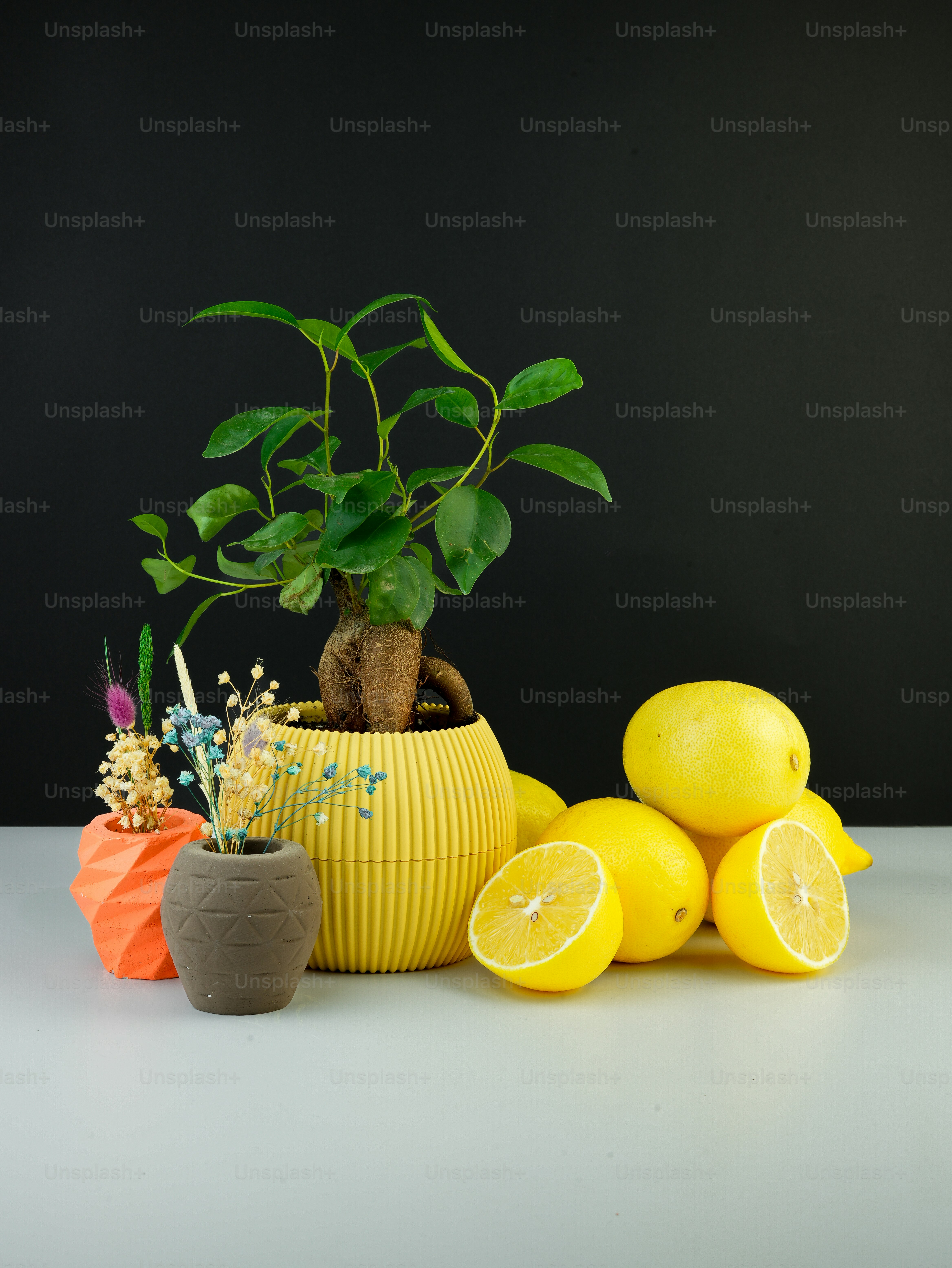 Lemon Background Pictures | Download Free Images on Unsplash