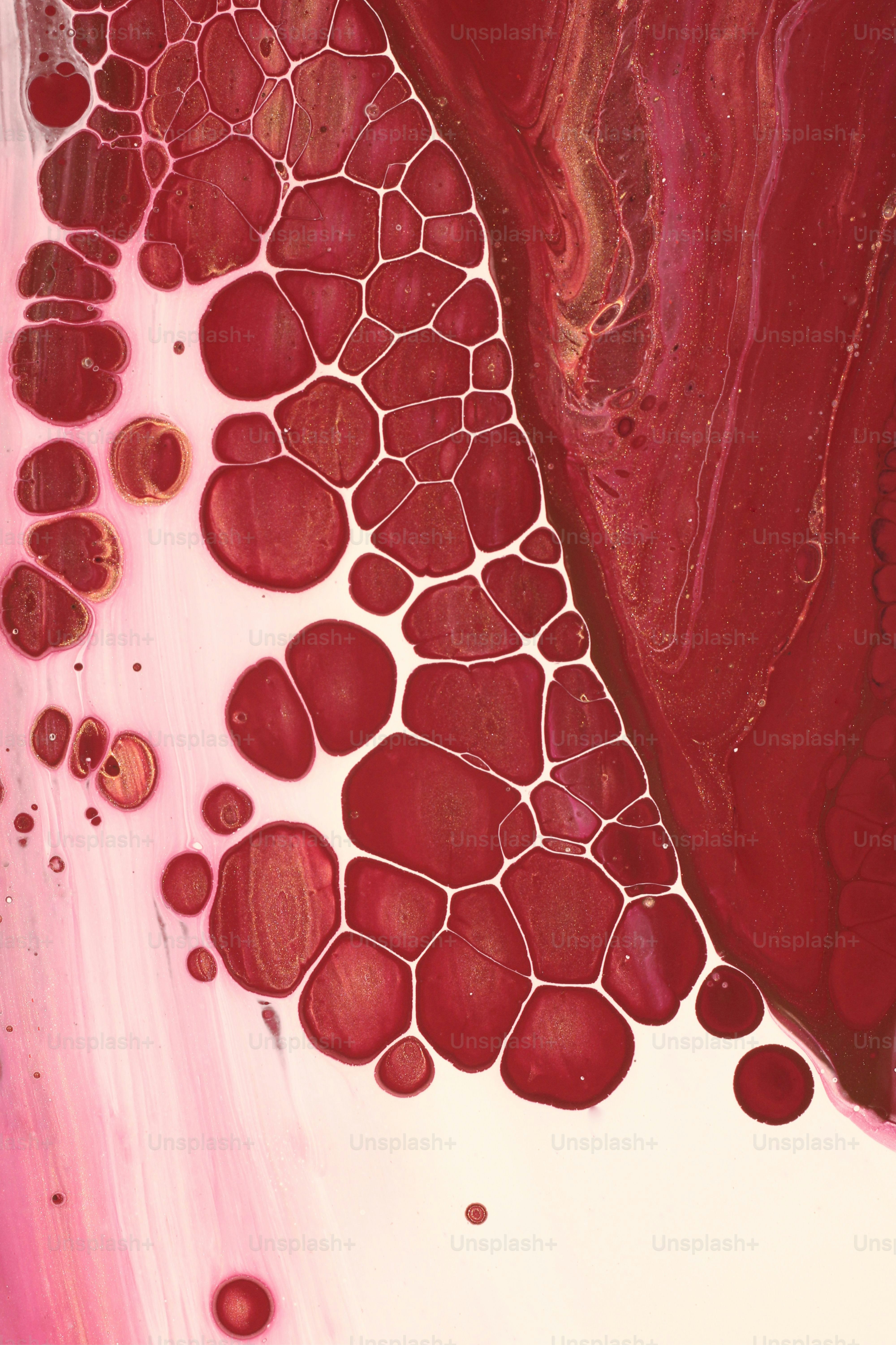 A pois rouge et blanc à pois à pois à pois à pois à pois à pois à pois ...