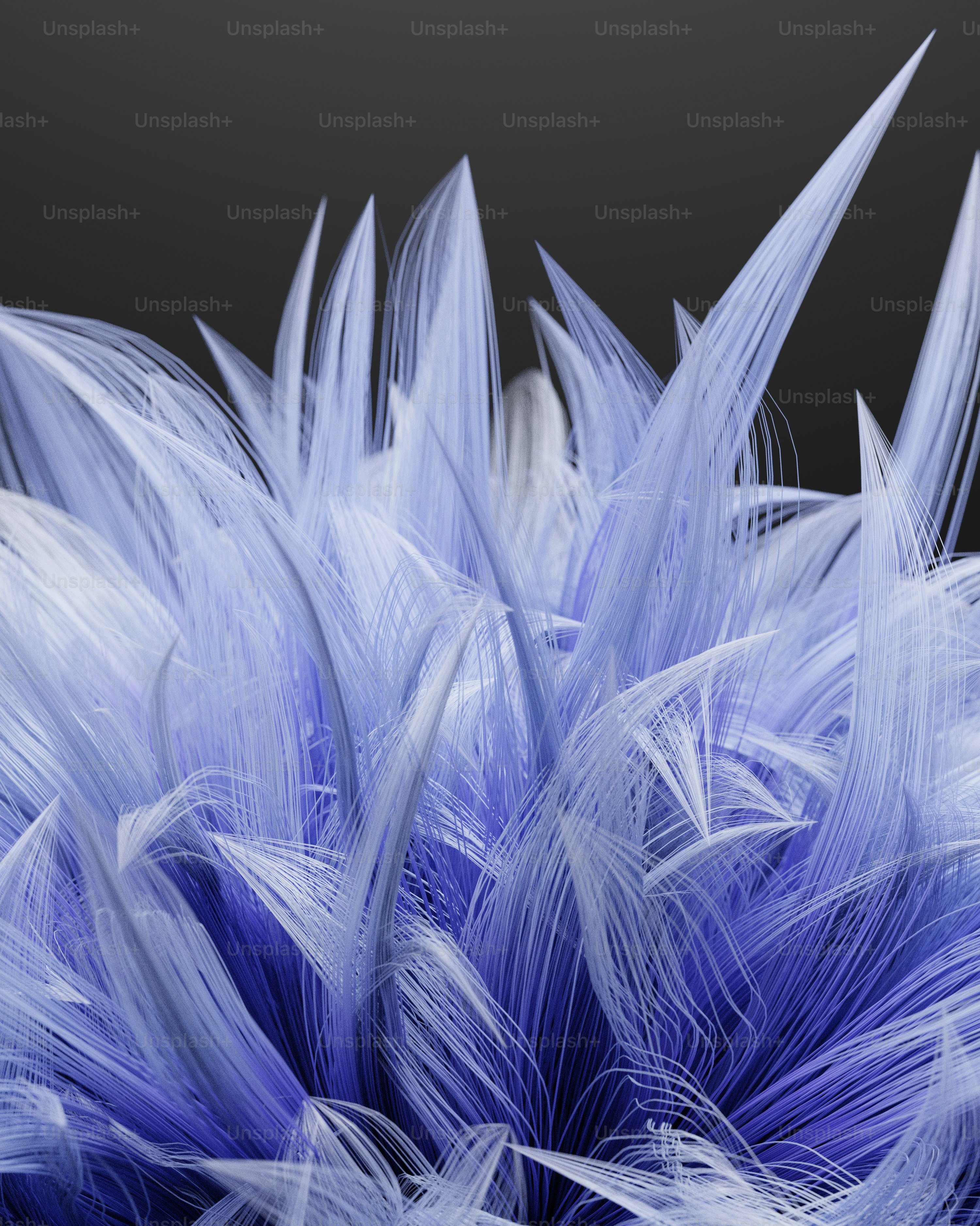 Background pattern photo – Wallpaper Image on Unsplash