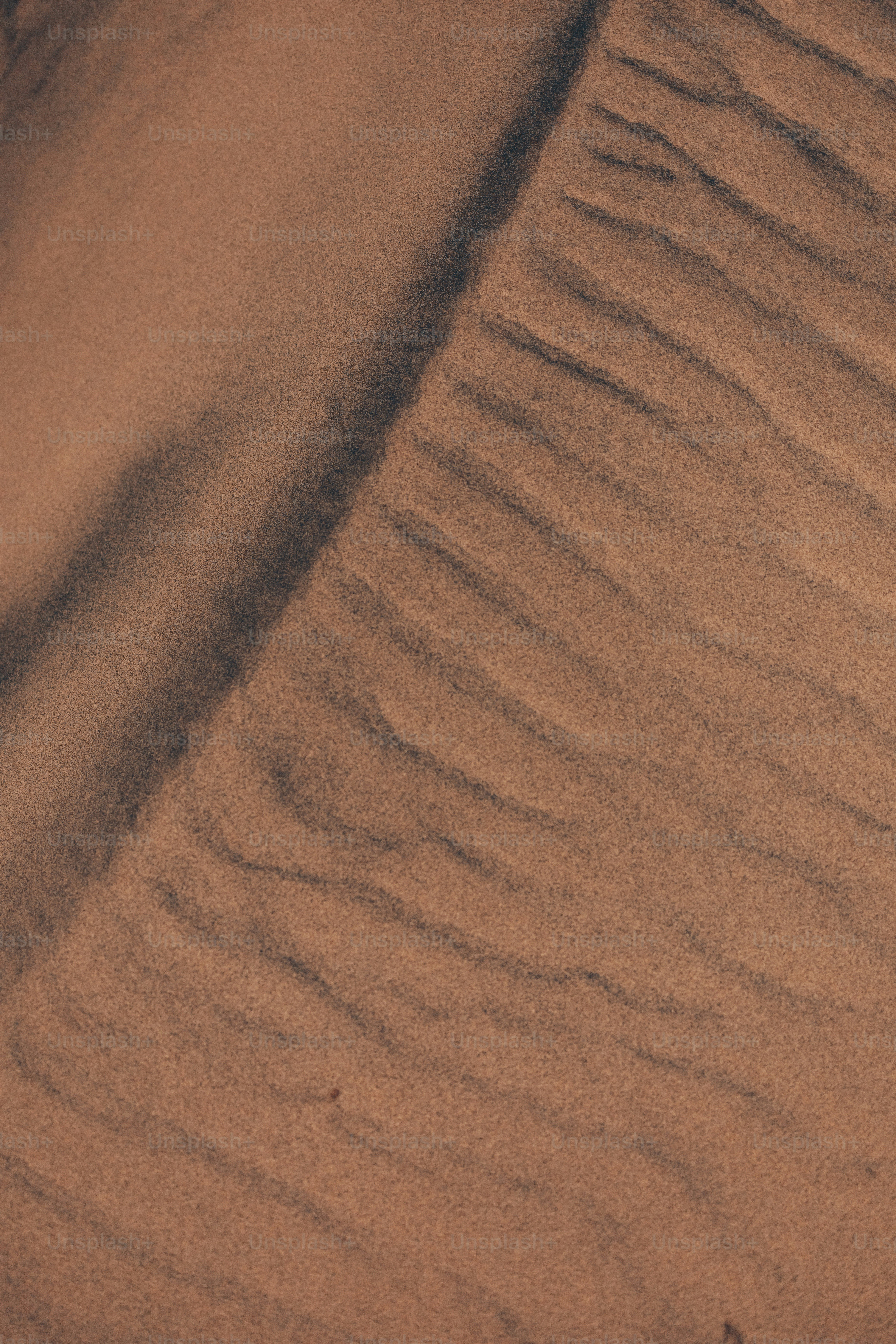 A close-up of a desert photo – Beautiful background Image on Unsplash