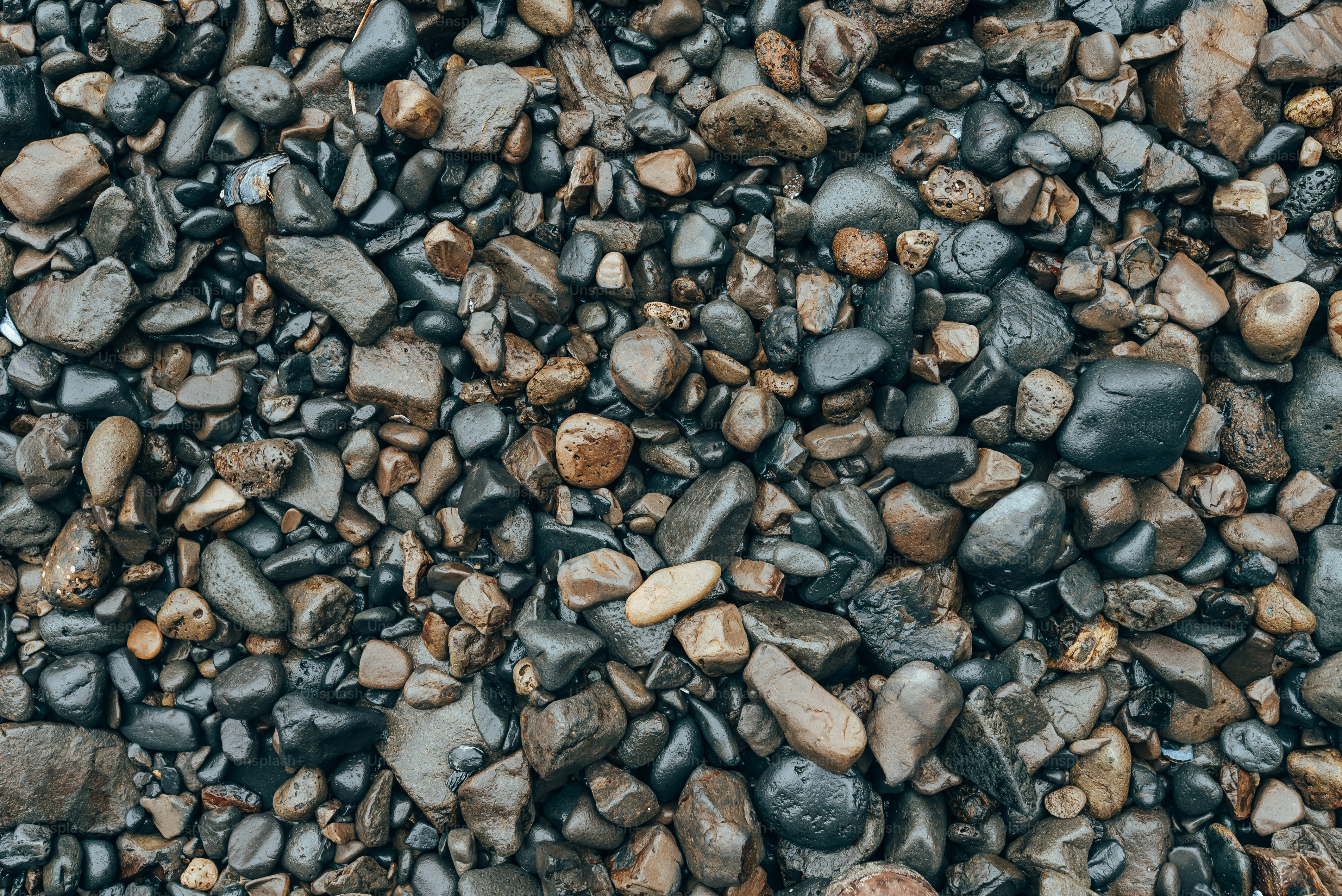 1000+ Pebble Pictures | Download Free Images on Unsplash