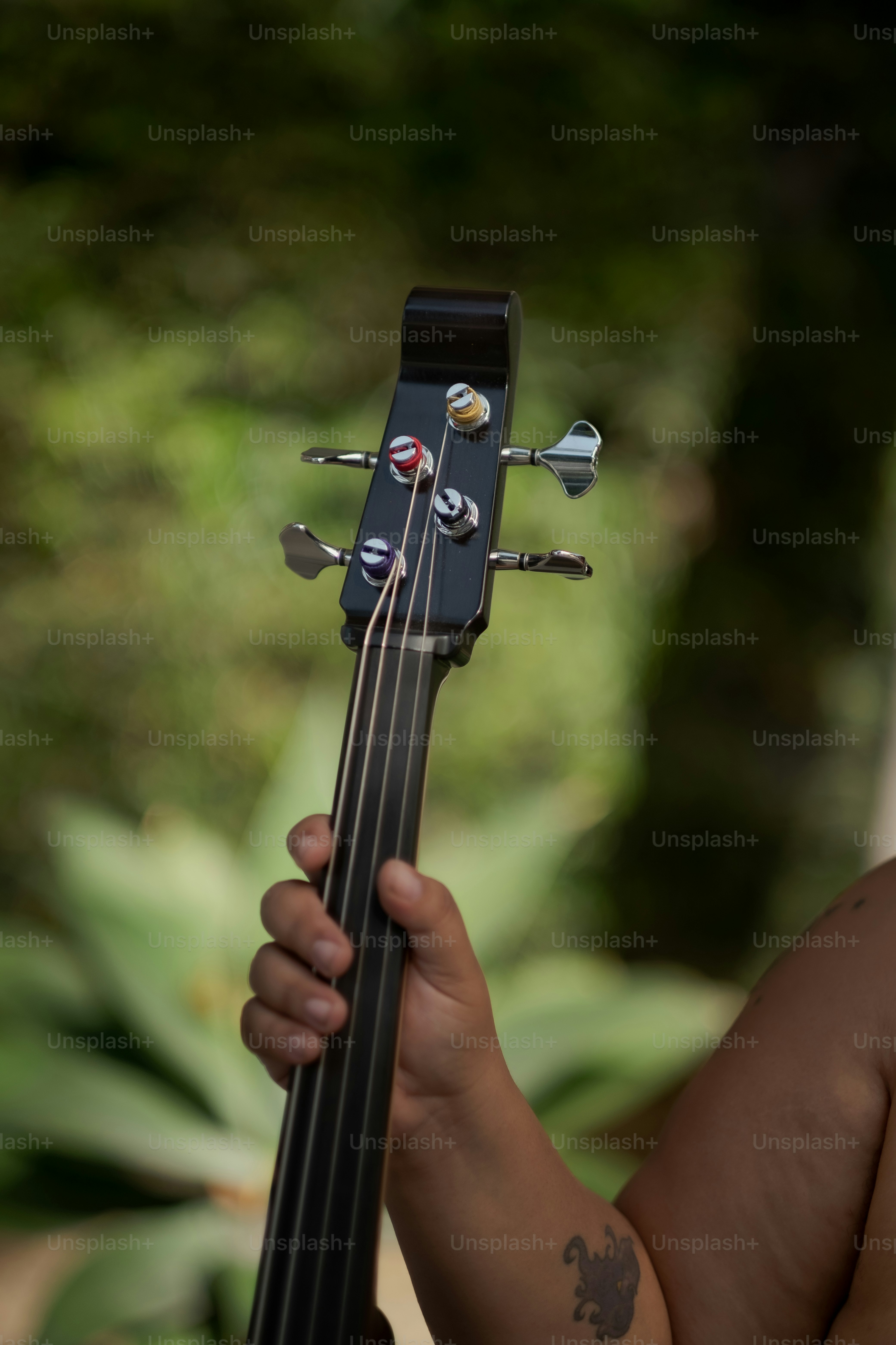 100+ Cello Pictures | Download Free Images on Unsplash