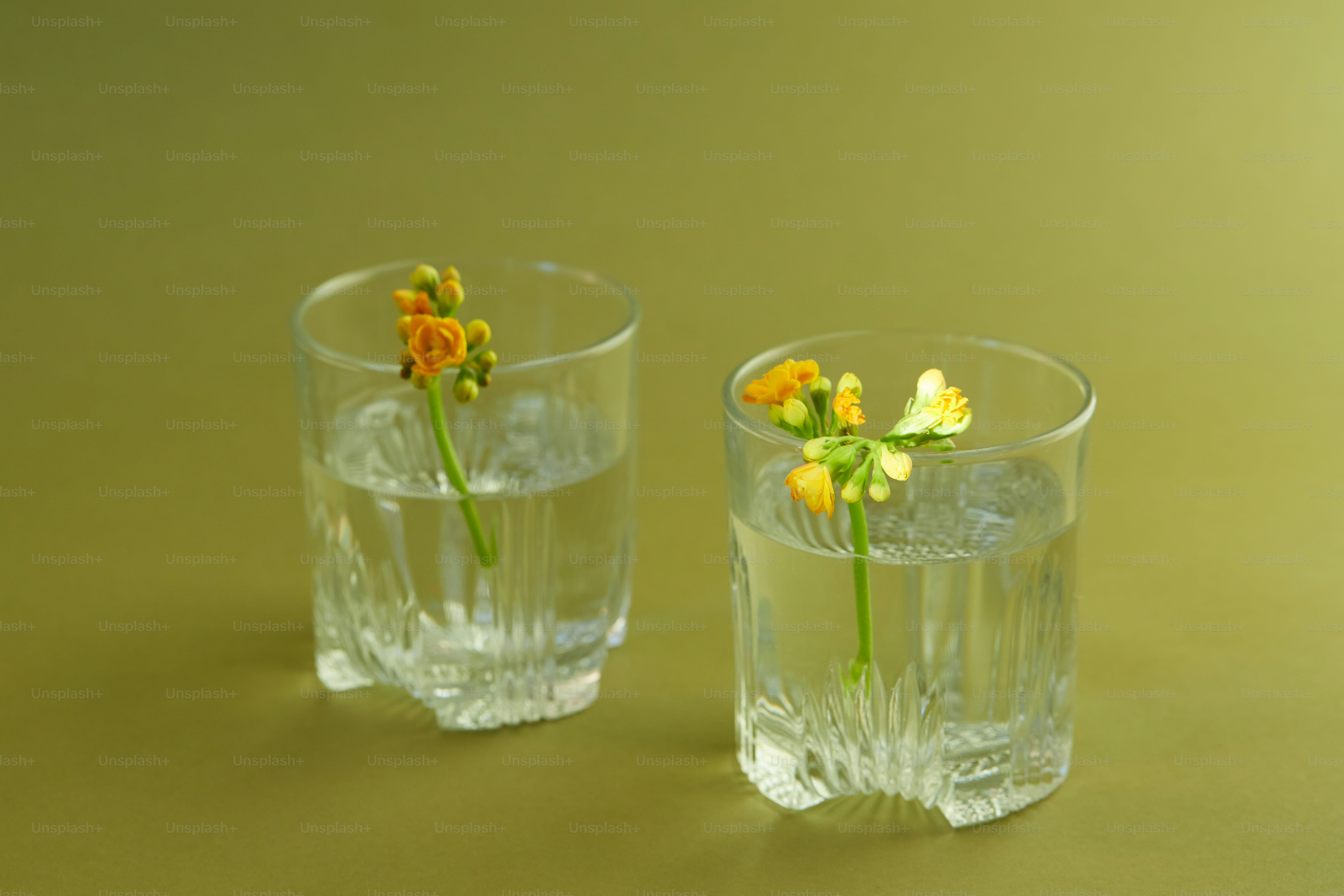 Water In Glass Pictures | Download Free Images on Unsplash