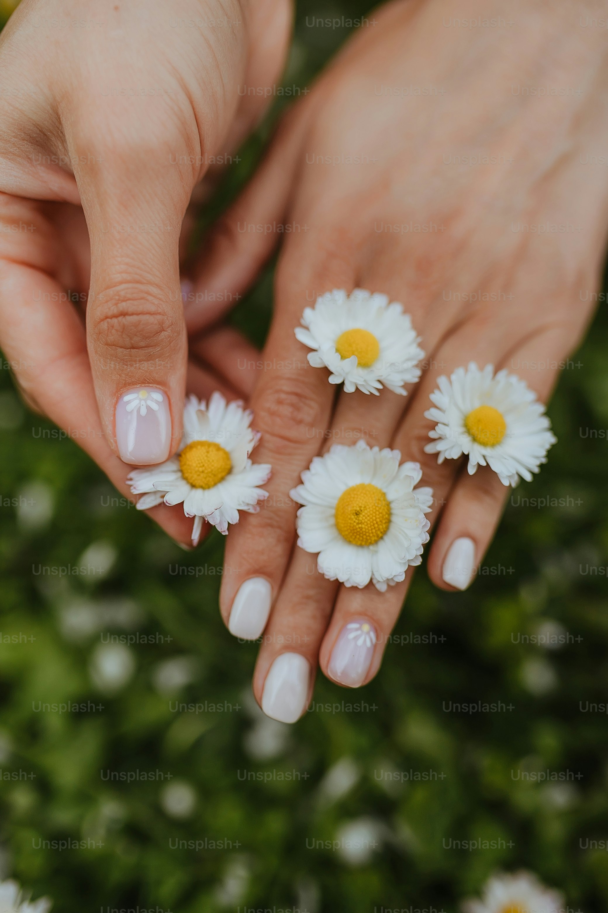 Un primer plano de manos sosteniendo flores foto – Imagen de Manicura ...
