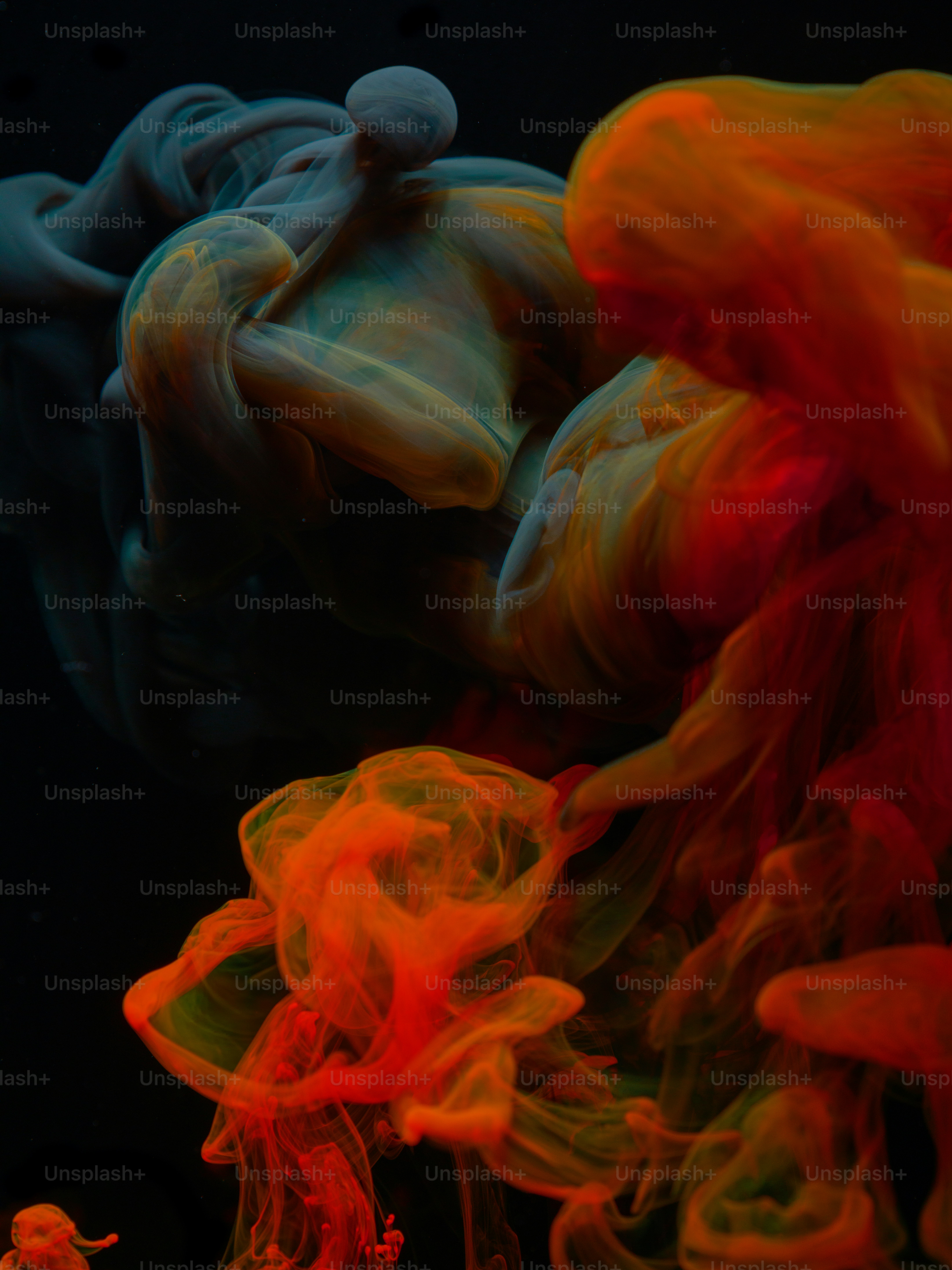 Un groupe de poissons nageant dans l’eau photo – Écran de démarrage ...