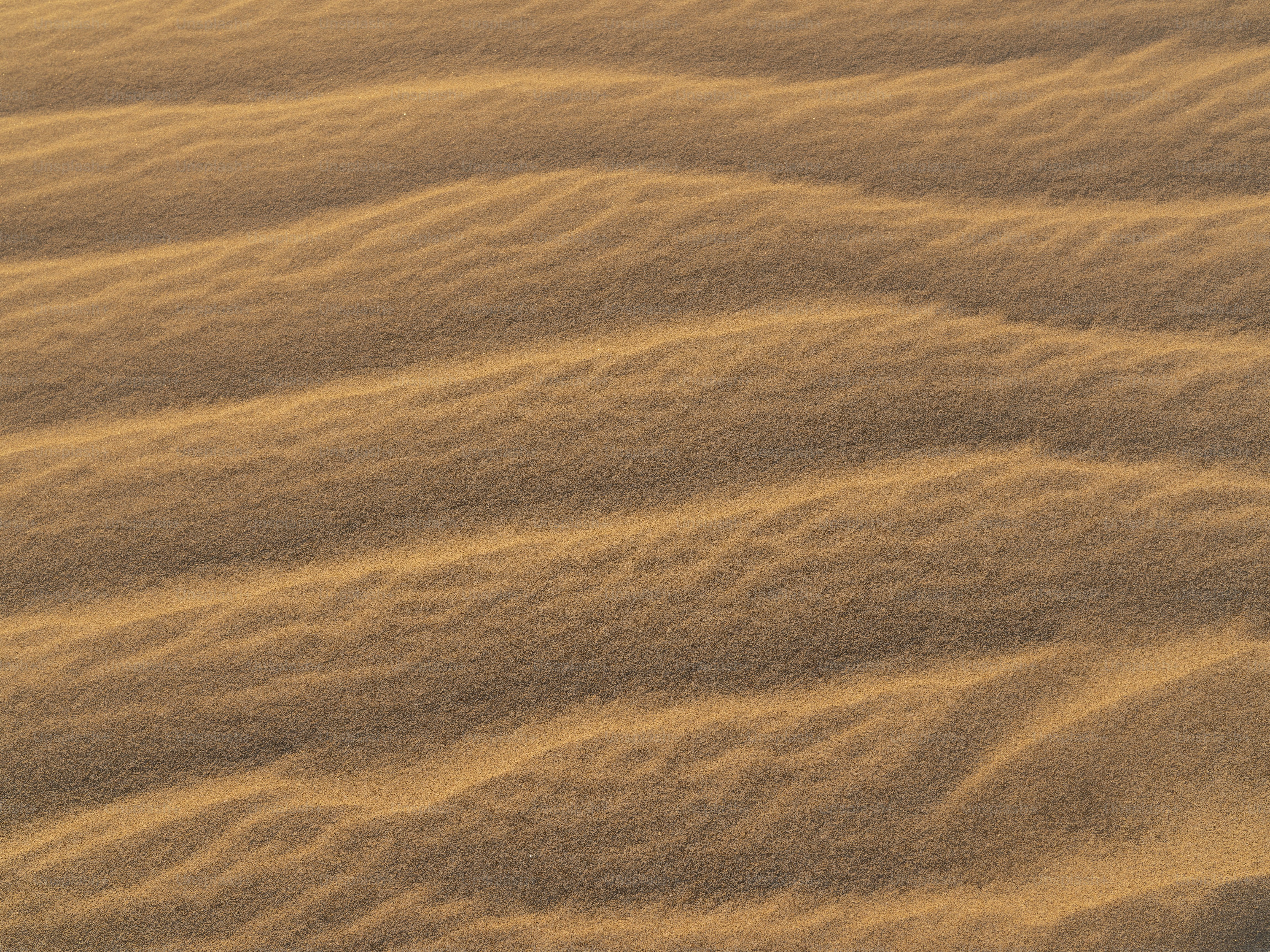 A close up of sand photo – Texture Image on Unsplash