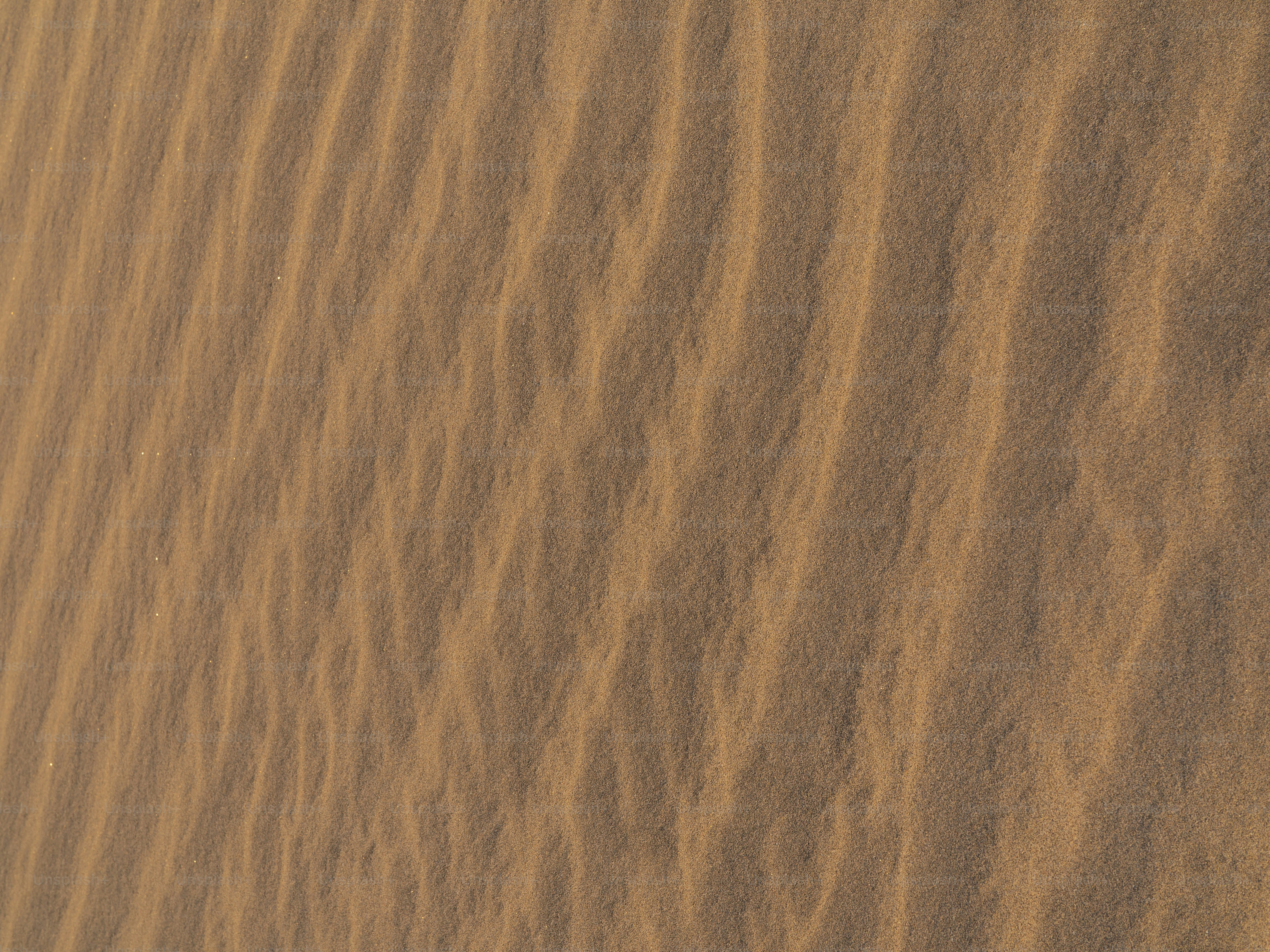 Ripples Pictures | Download Free Images on Unsplash