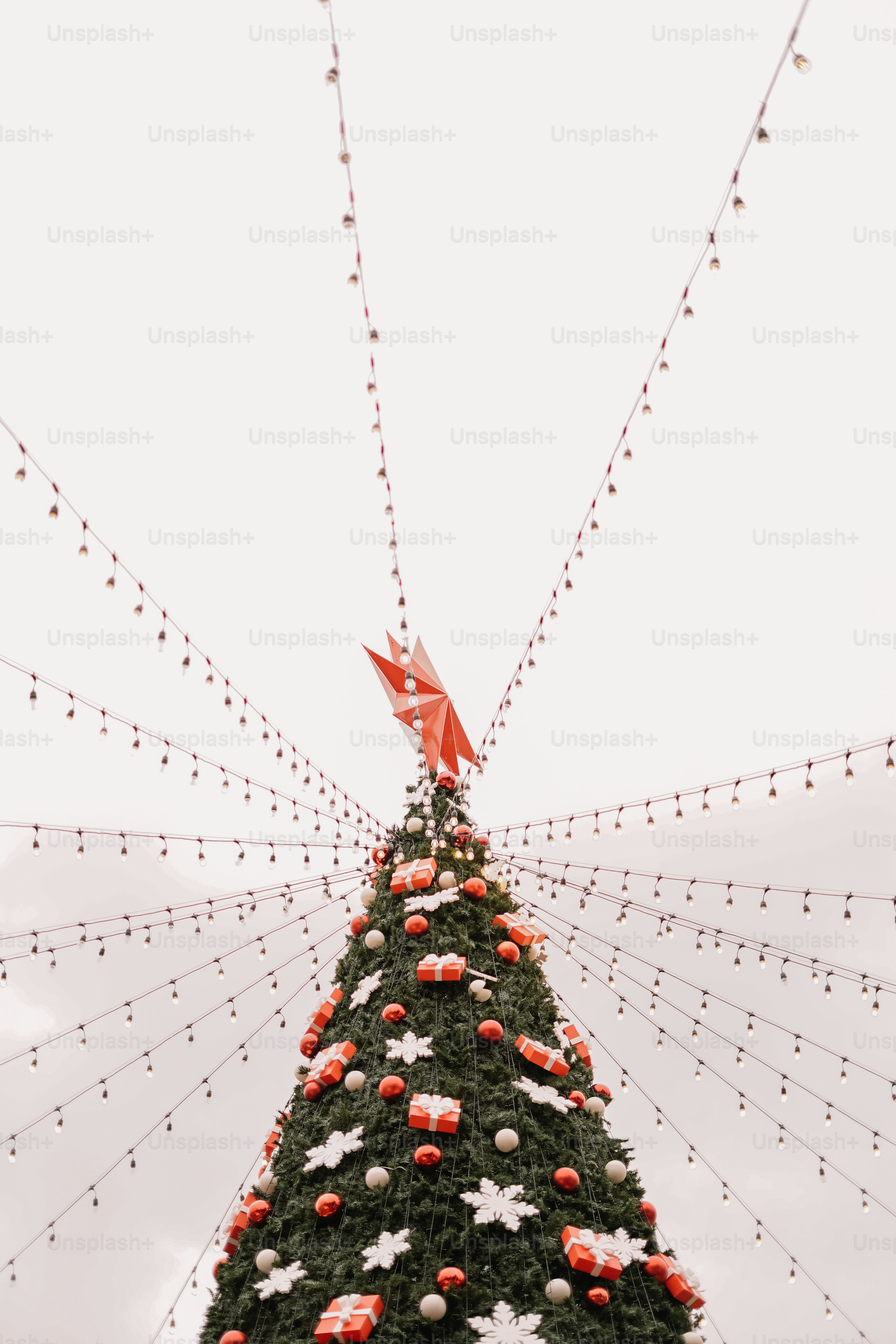 A christmas tree with lights photo – Azerbaijan Image on Unsplash