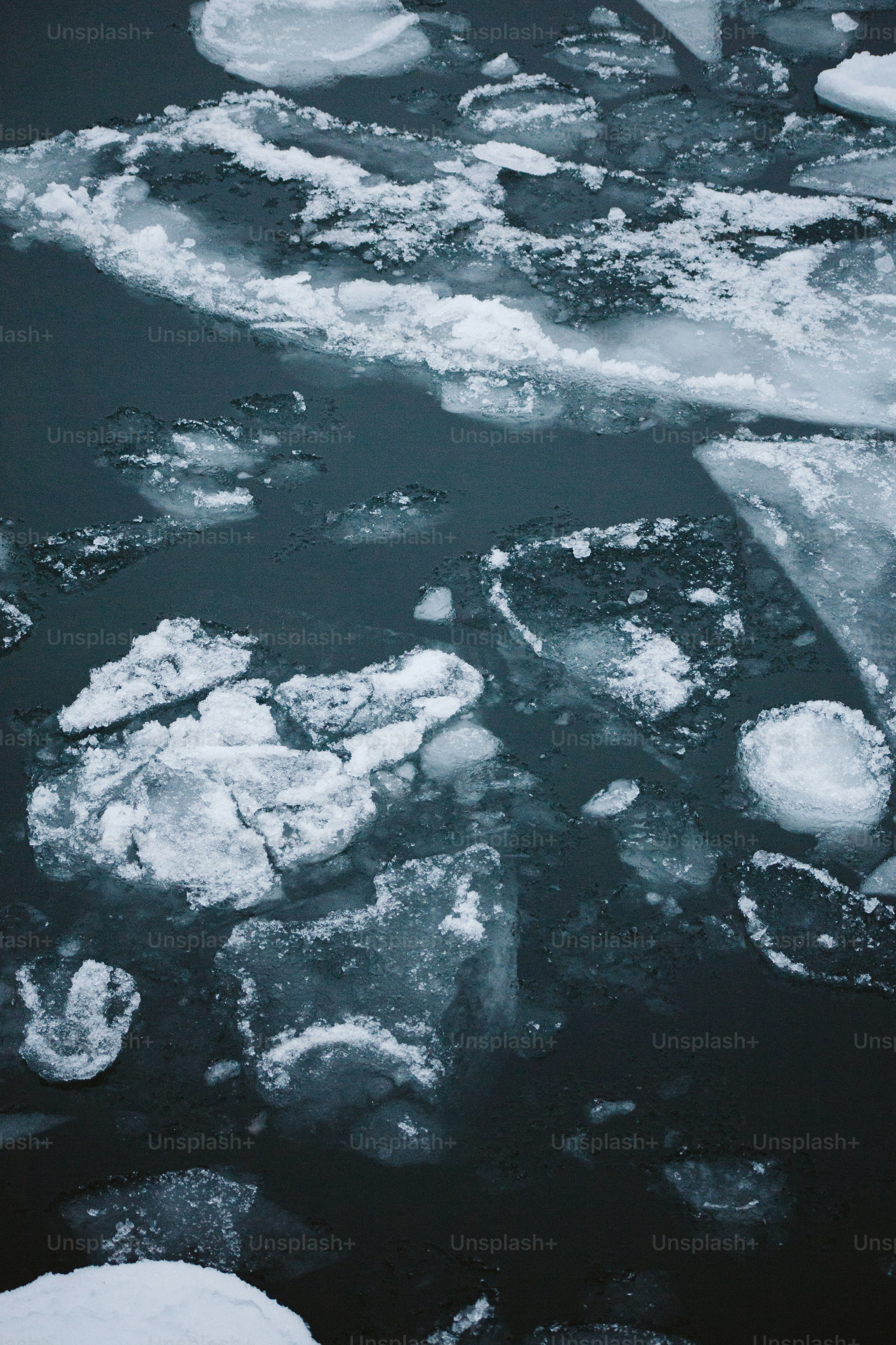 Ice floes floating on a body of water photo – Ice water Image on Unsplash
