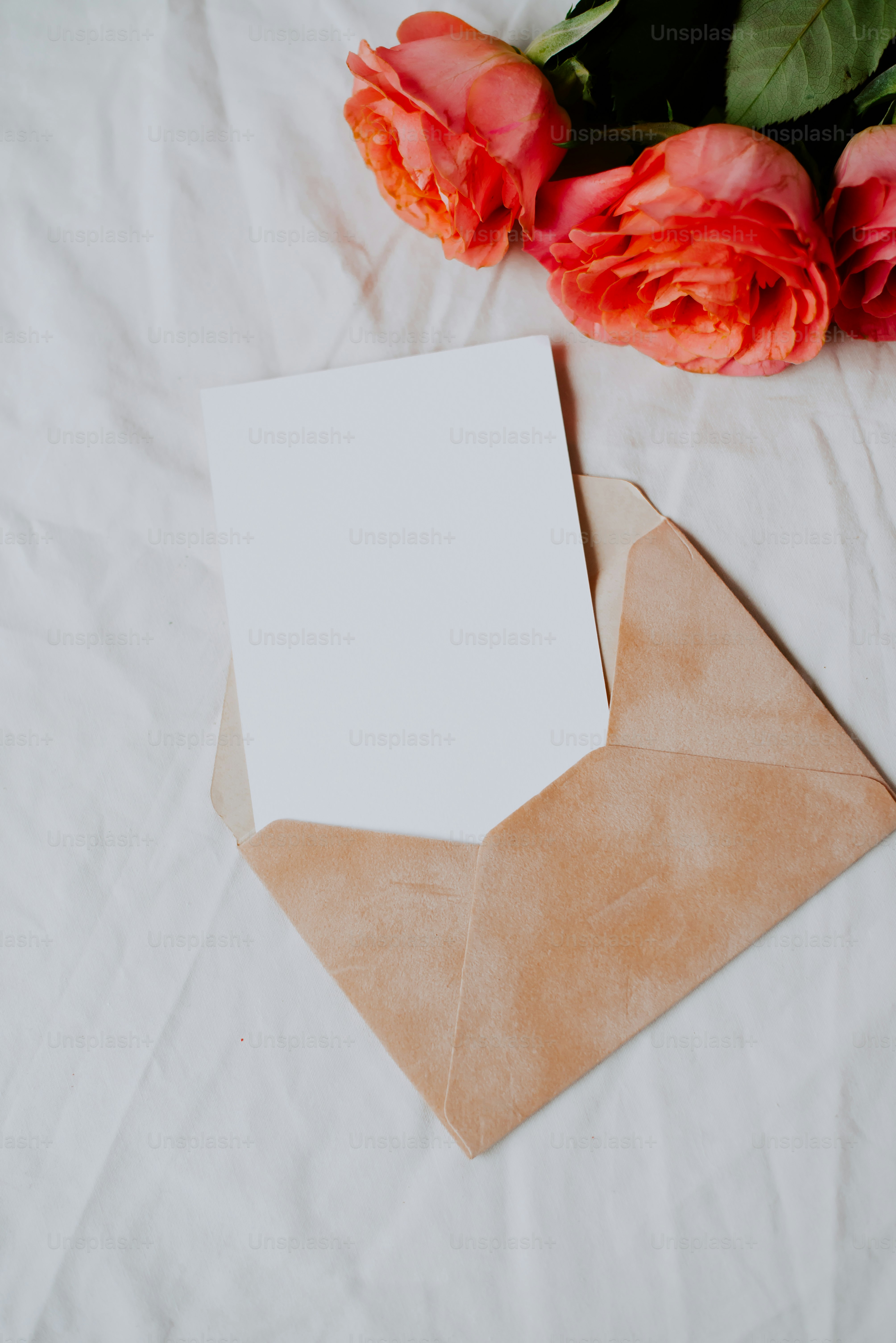 750+ Envelope Pictures [HD] | Download Free Images on Unsplash