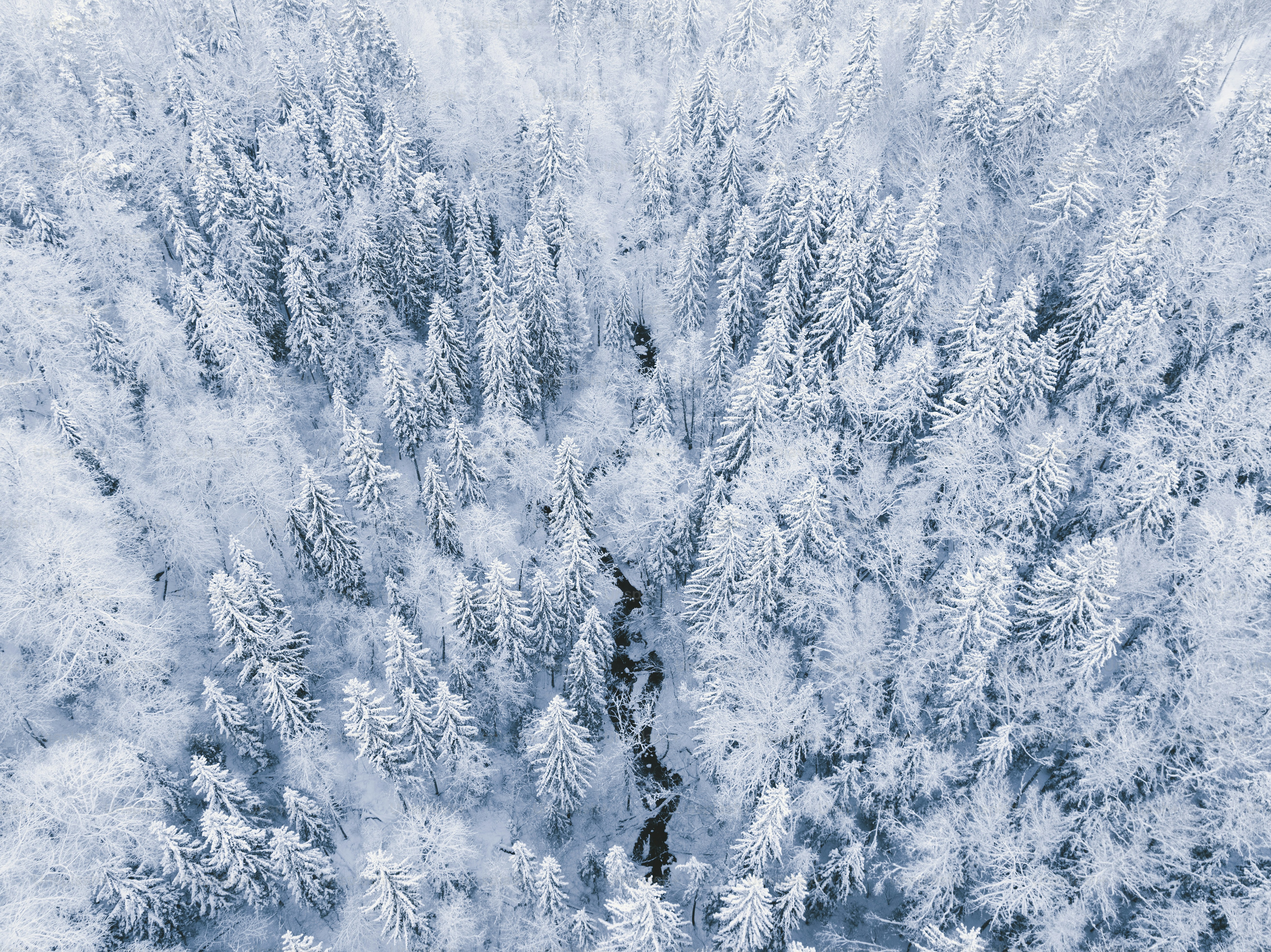 An aerial view of a snow covered landscape photo – White color Image on ...