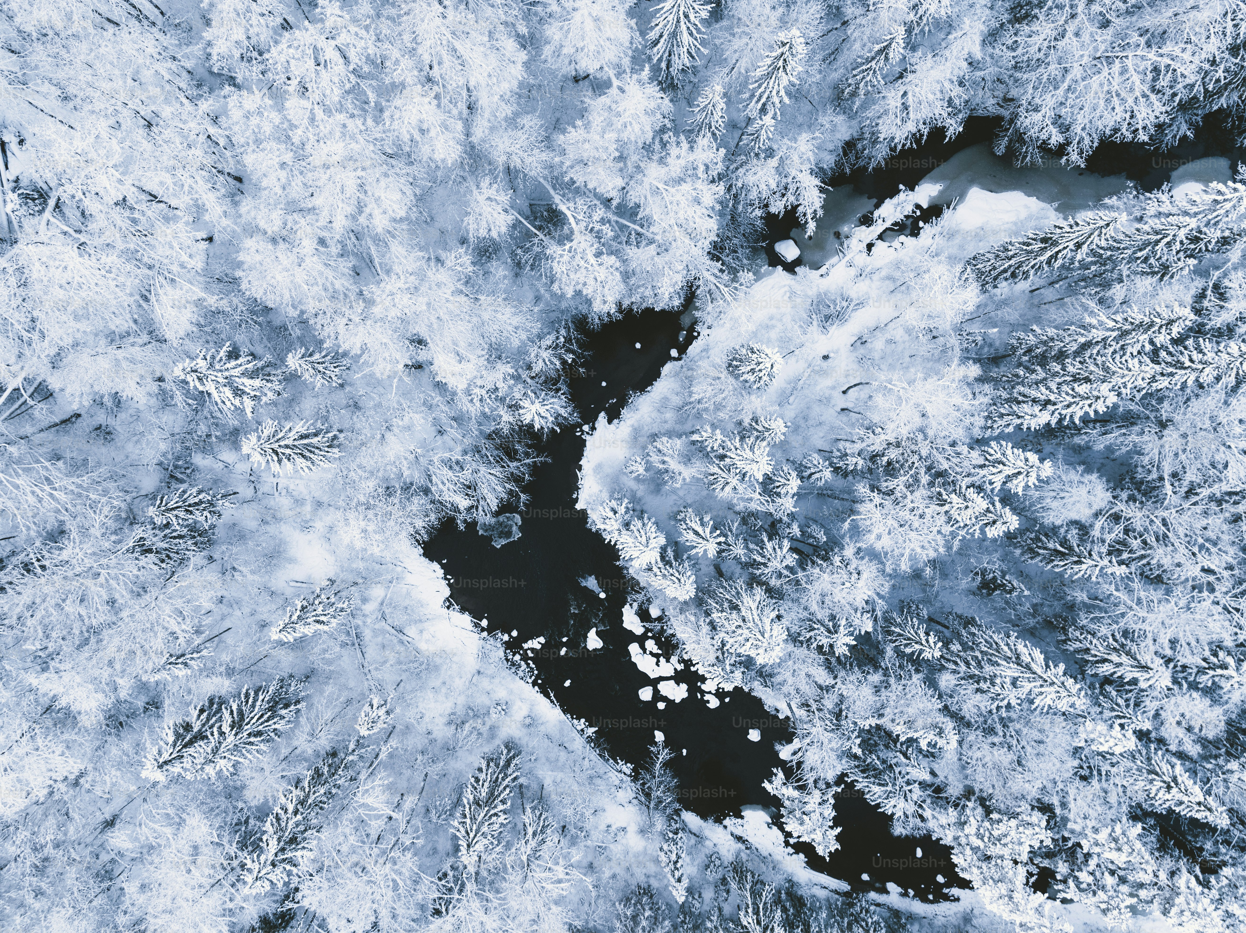 An aerial view of a snow covered forest photo – Aerial view Image on ...
