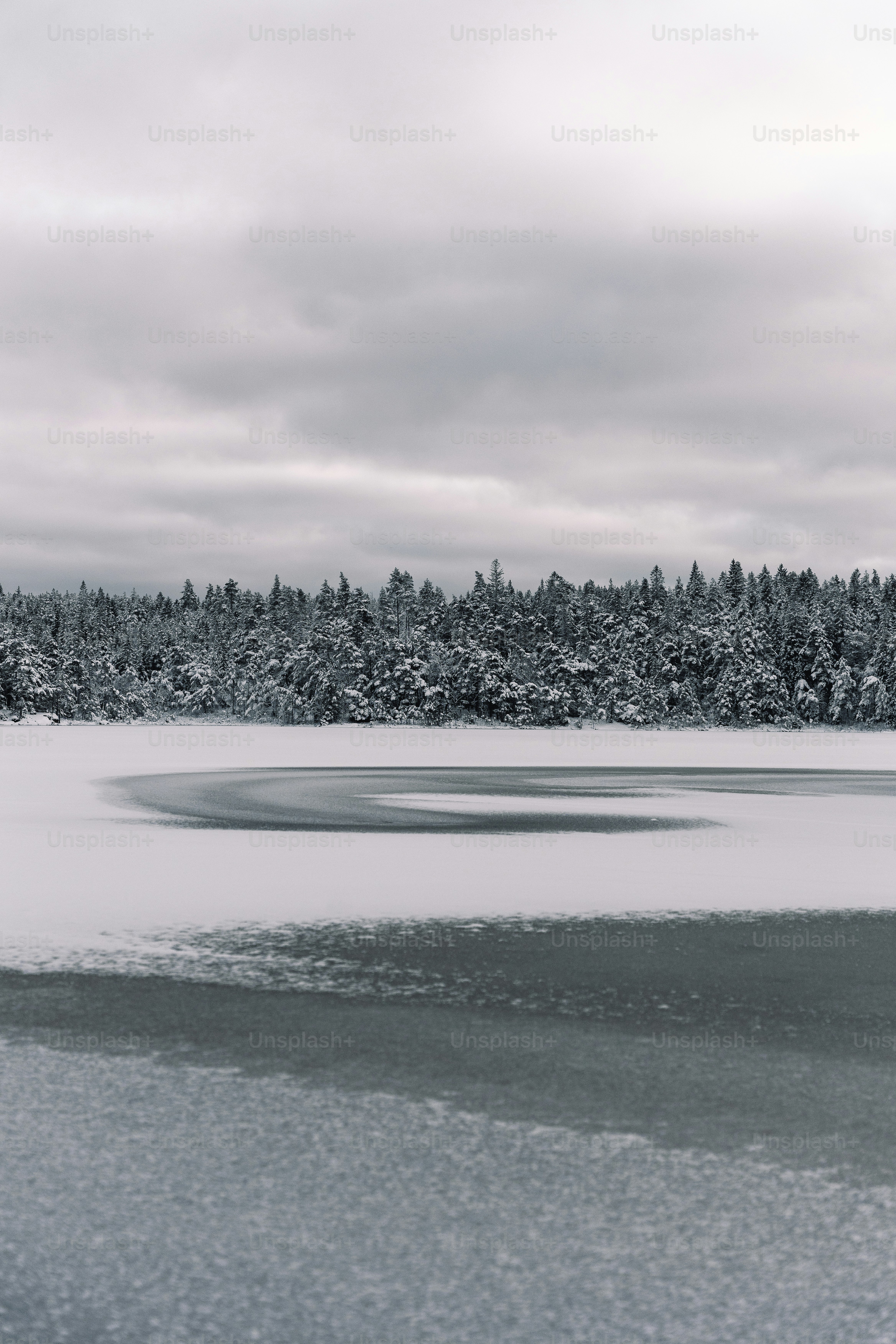 A lake surrounded by trees covered in snow photo – Winter Image on Unsplash