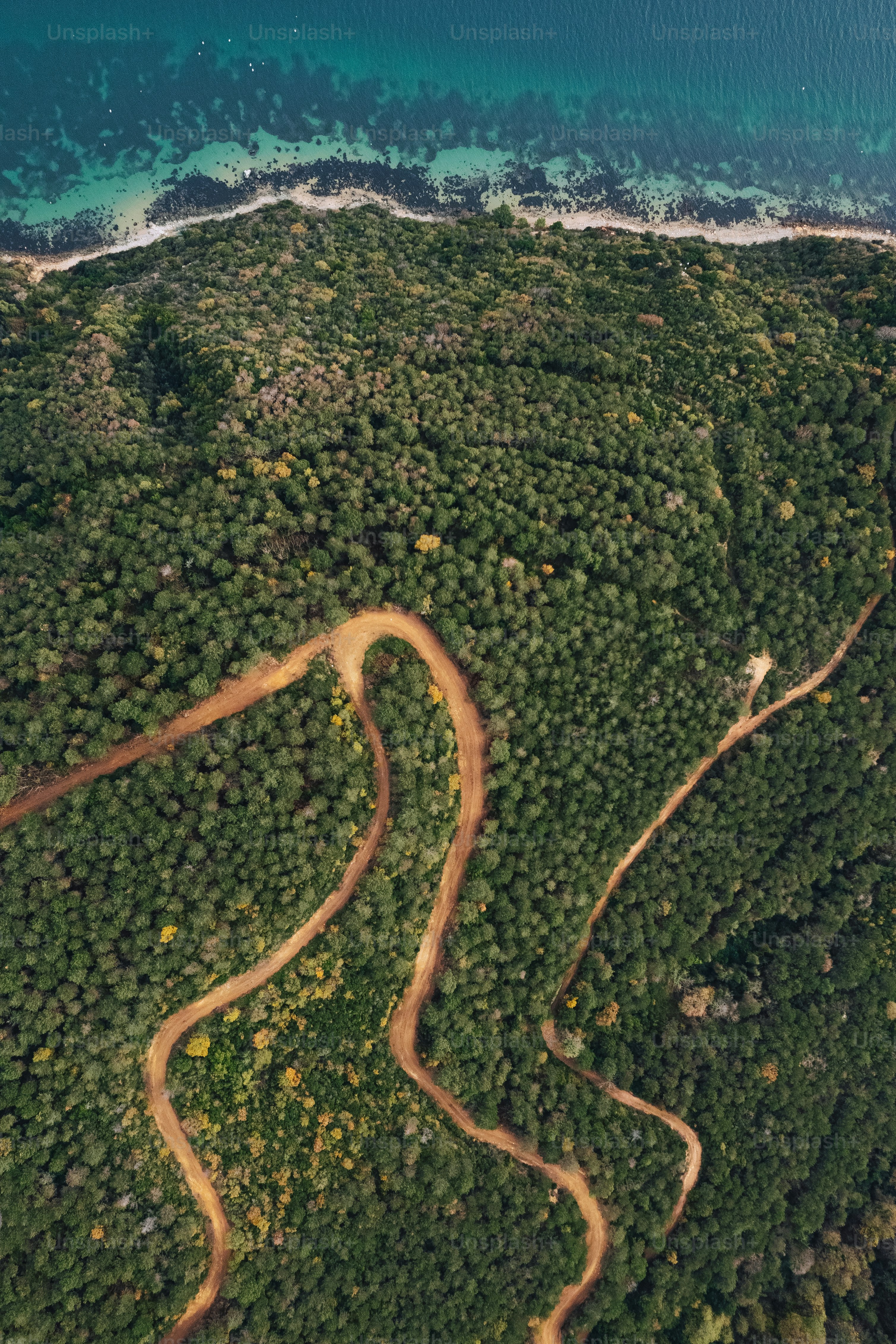 Vue aérienne d’une route sinueuse au milieu d’une forêt photo – Vert et ...