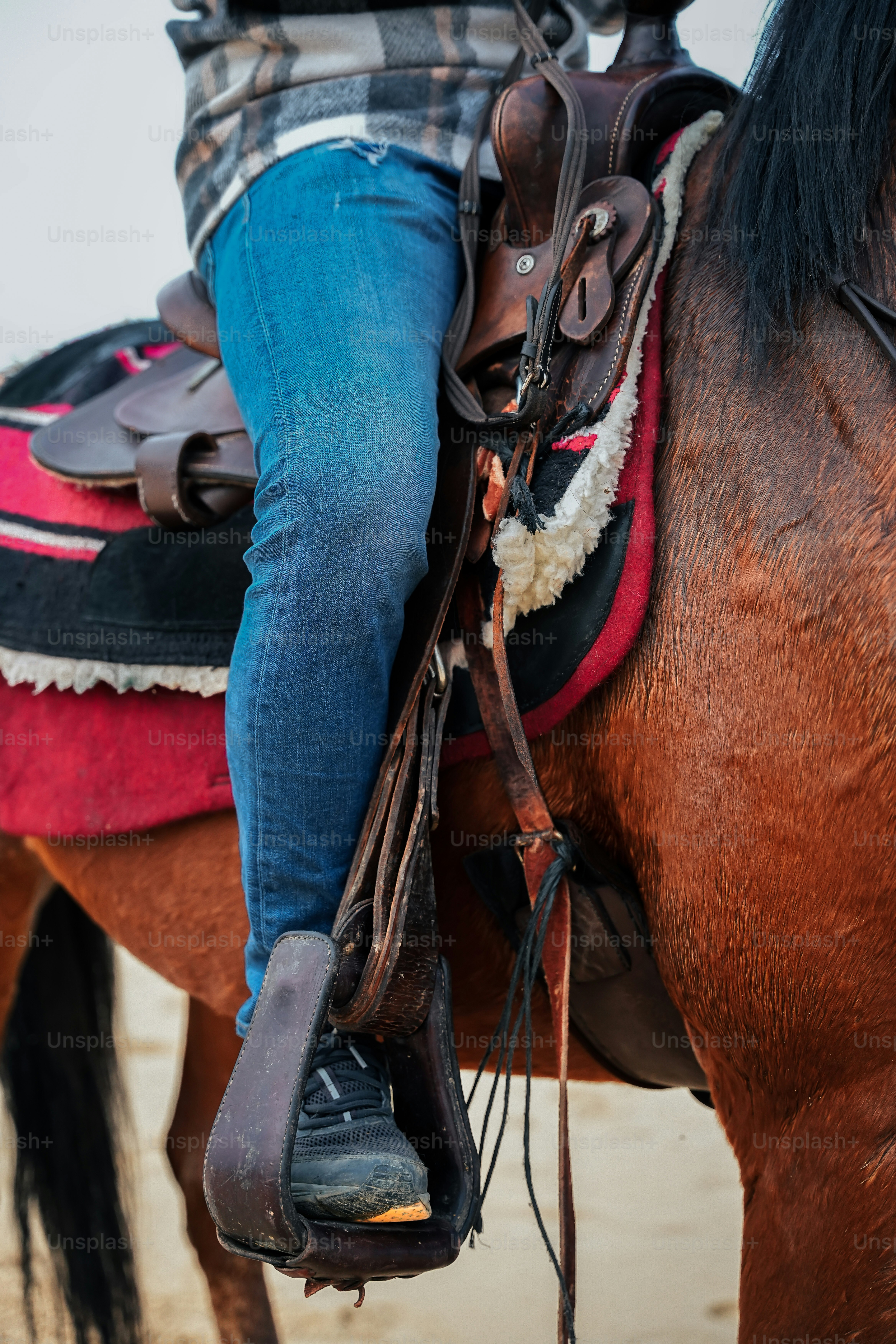 Horse Back Riding Pictures | Download Free Images on Unsplash